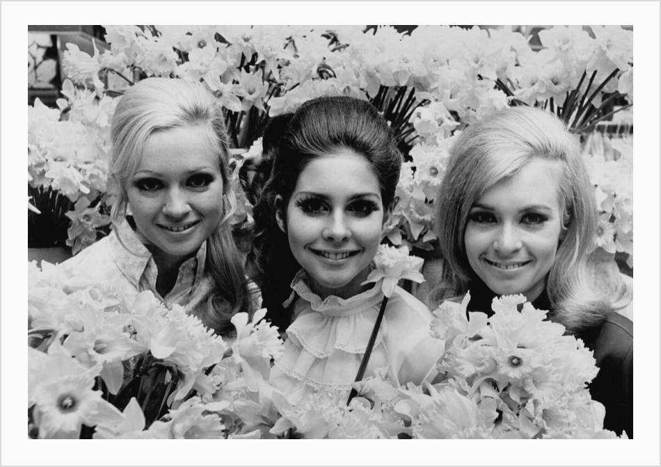 David Jones Spring Flower Show