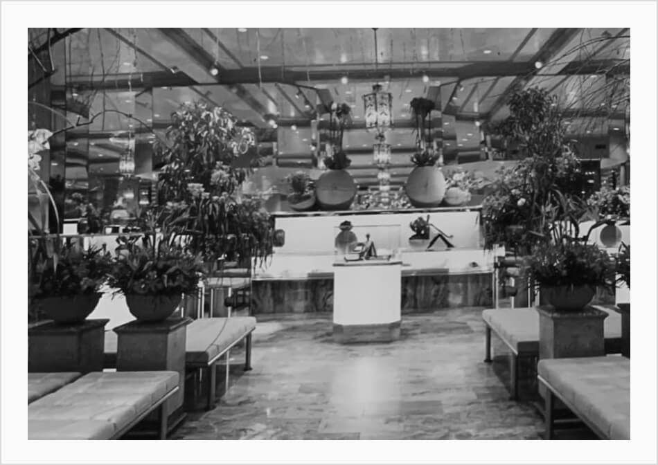 David Jones Spring Flower Show