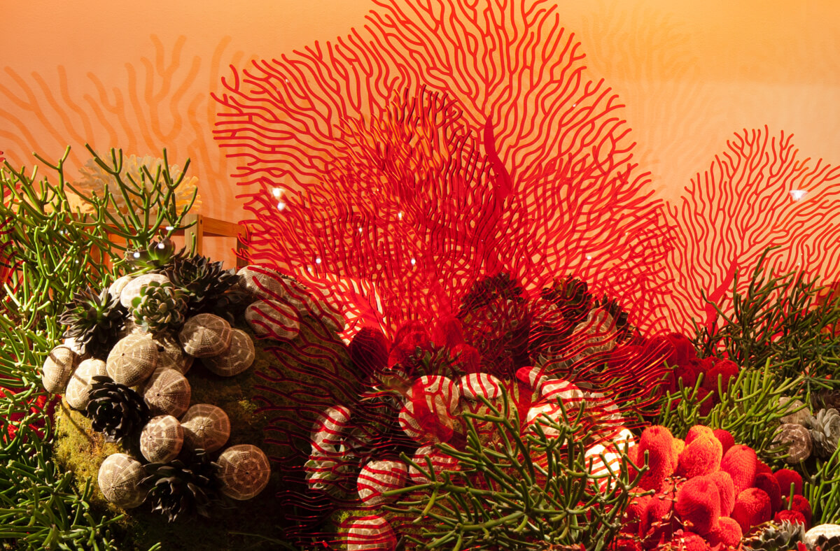 David Jones Spring Flower Show