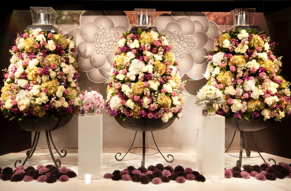 David Jones Spring Flower Show