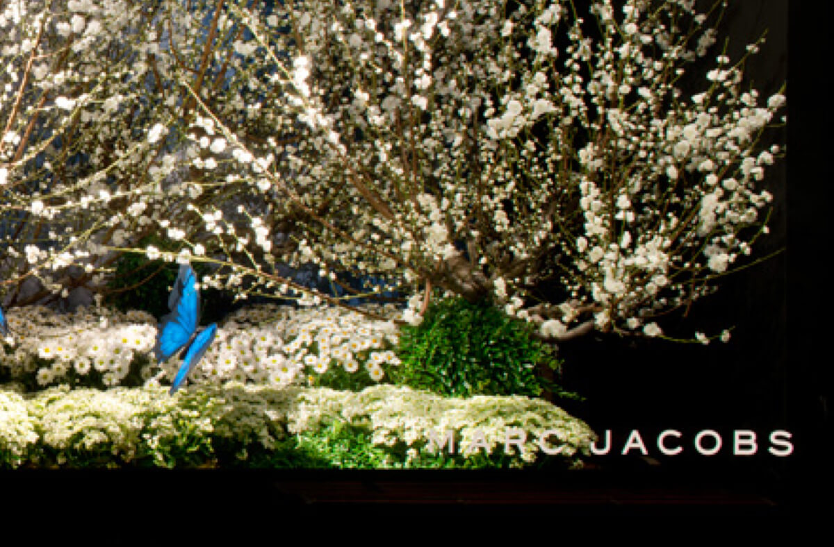 David Jones Spring Flower Show