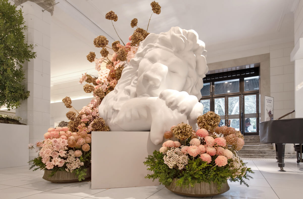 David Jones Spring Flower Show