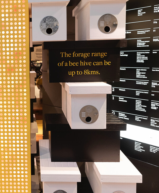 David Jones Spring Flower Show