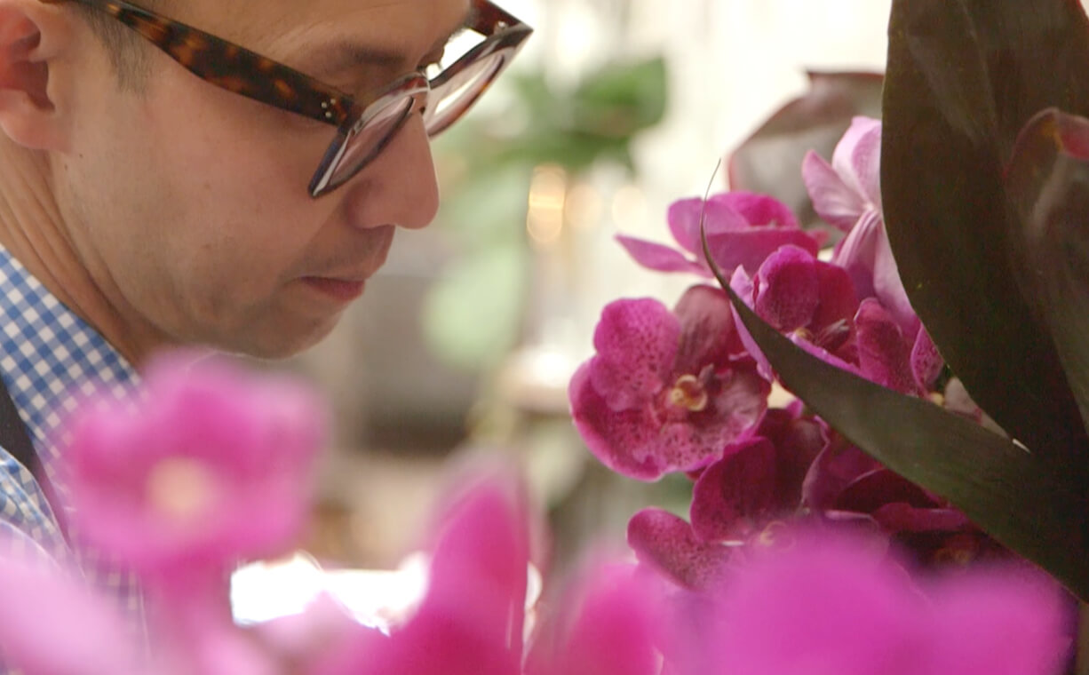 David Jones Spring Flower Show