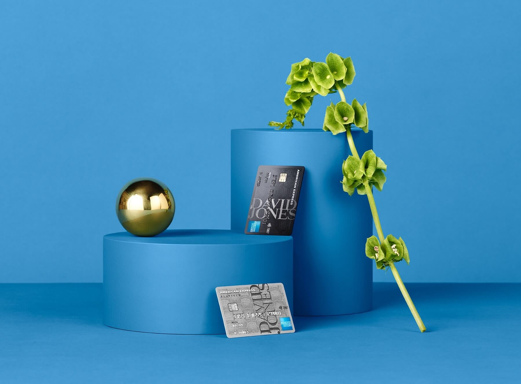 Log in | David Jones American Express