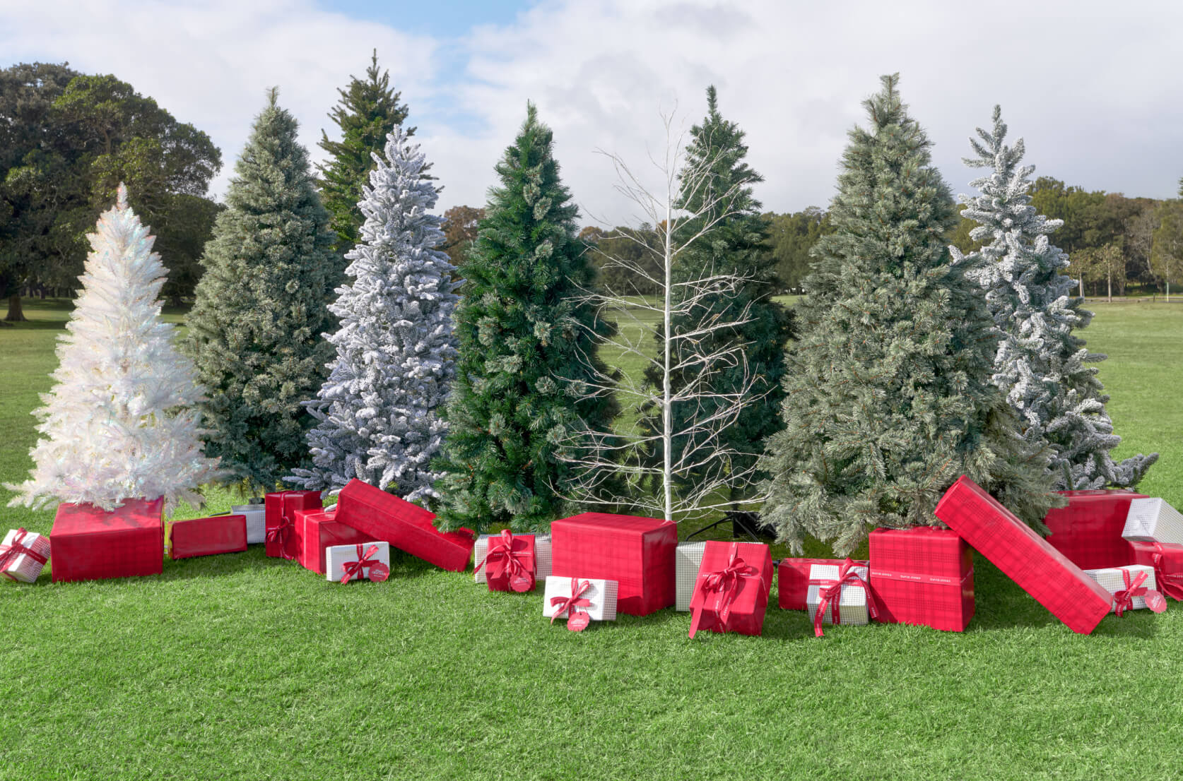 Shop Christmas Gifts Australia | David Jones