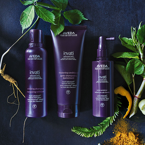 Aveda Haircare & Skincare | David Jones