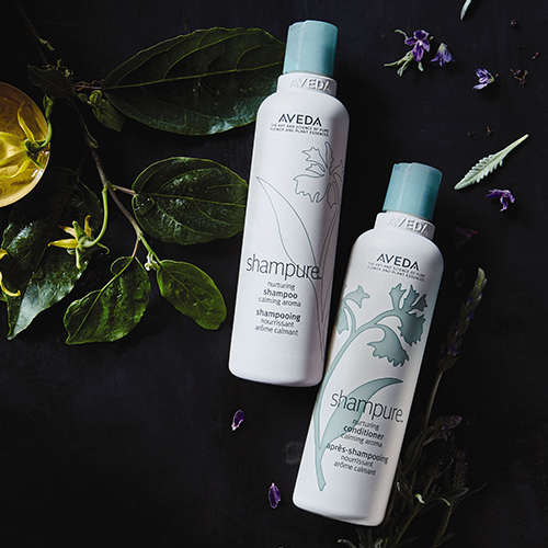 Aveda Haircare & Skincare | David Jones