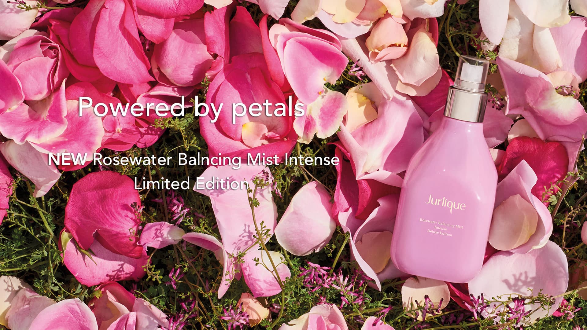 Jurlique | Jurlique Hand Cream & Skincare Online | David Jones