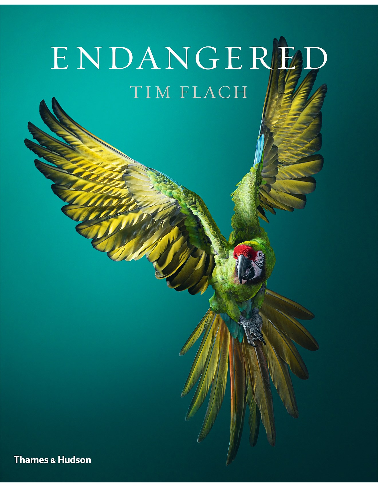 Thames and Hudson Endangered By Tim Flach | David Jones