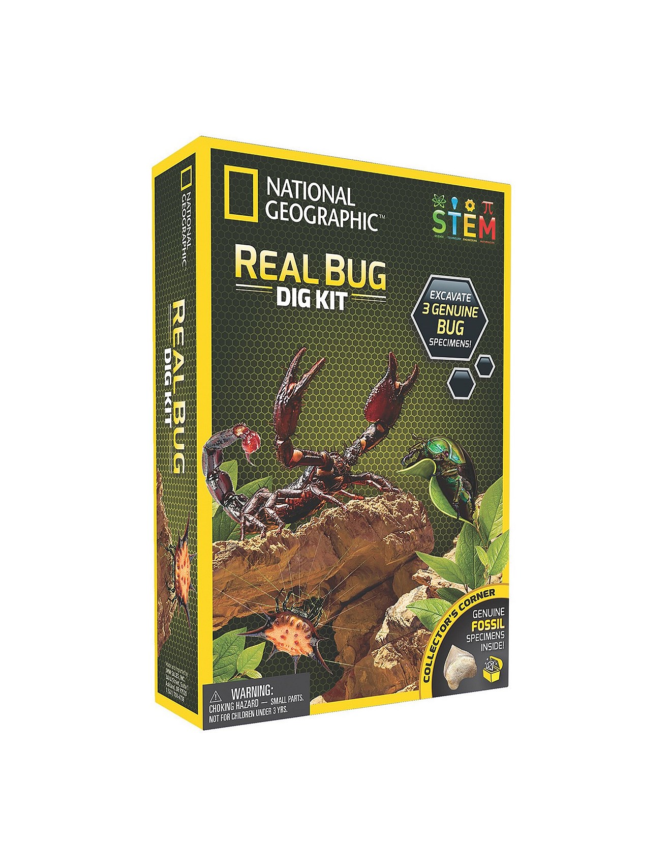 National Geographic Real Bug Dig Kit | David Jones