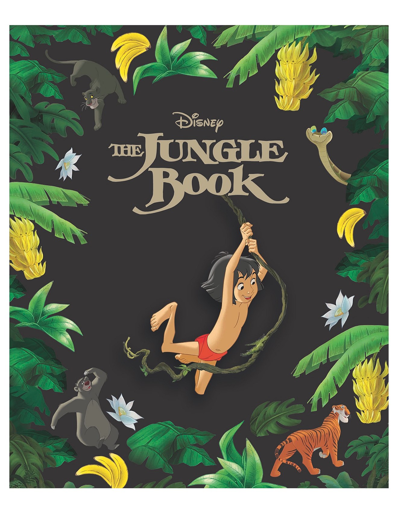 Scholastic Disney the Jungle Classic Collection | David Jones