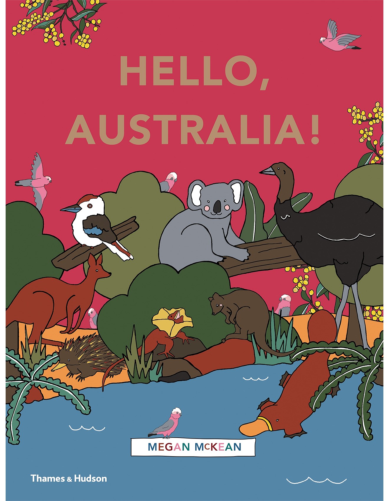 Thames and Hudson Hello Australia | David Jones