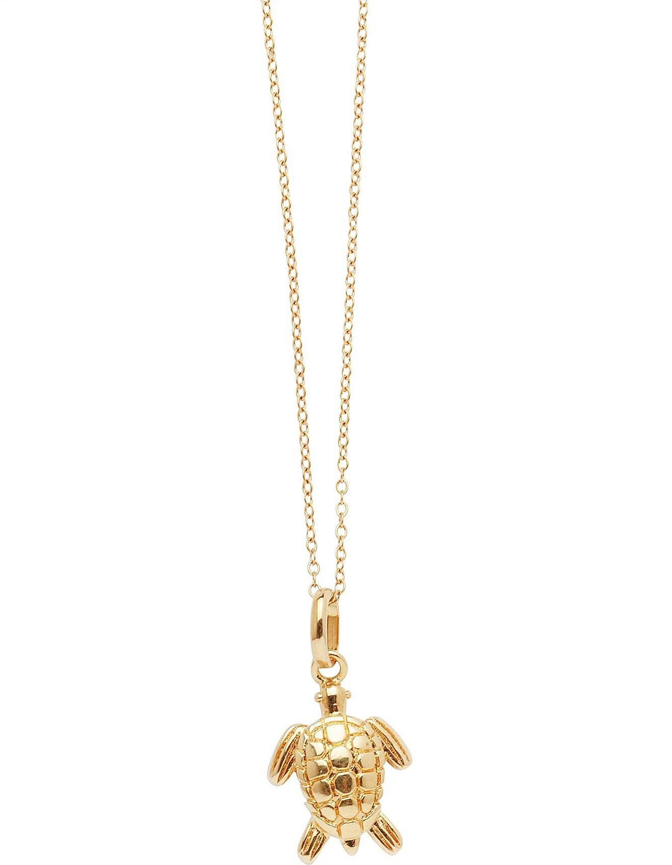 Reliquia Turtle Necklace | David Jones