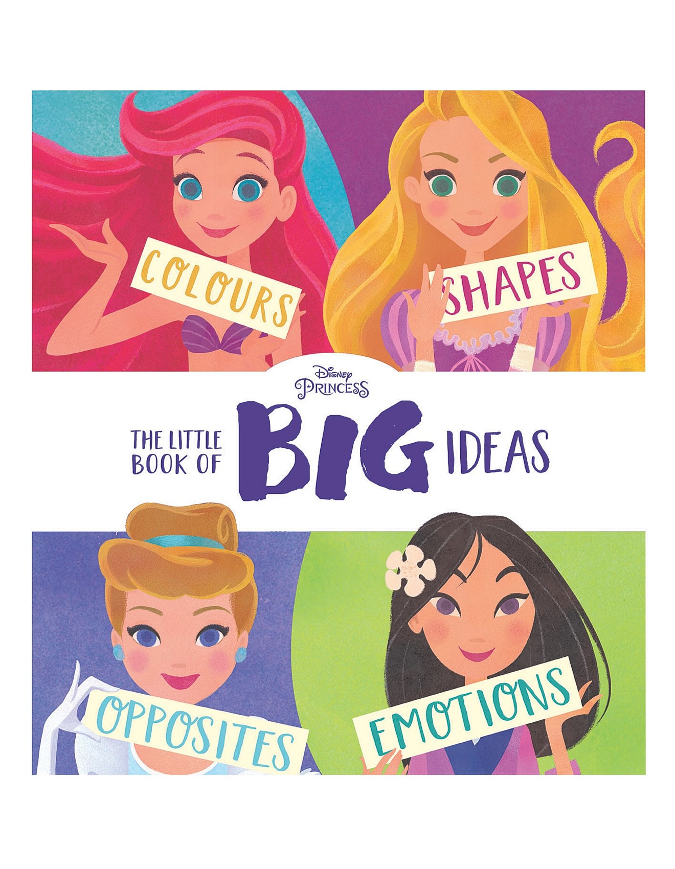 Scholastic Little Book Of Big Ideas -Disney Princess Storybook | David ...