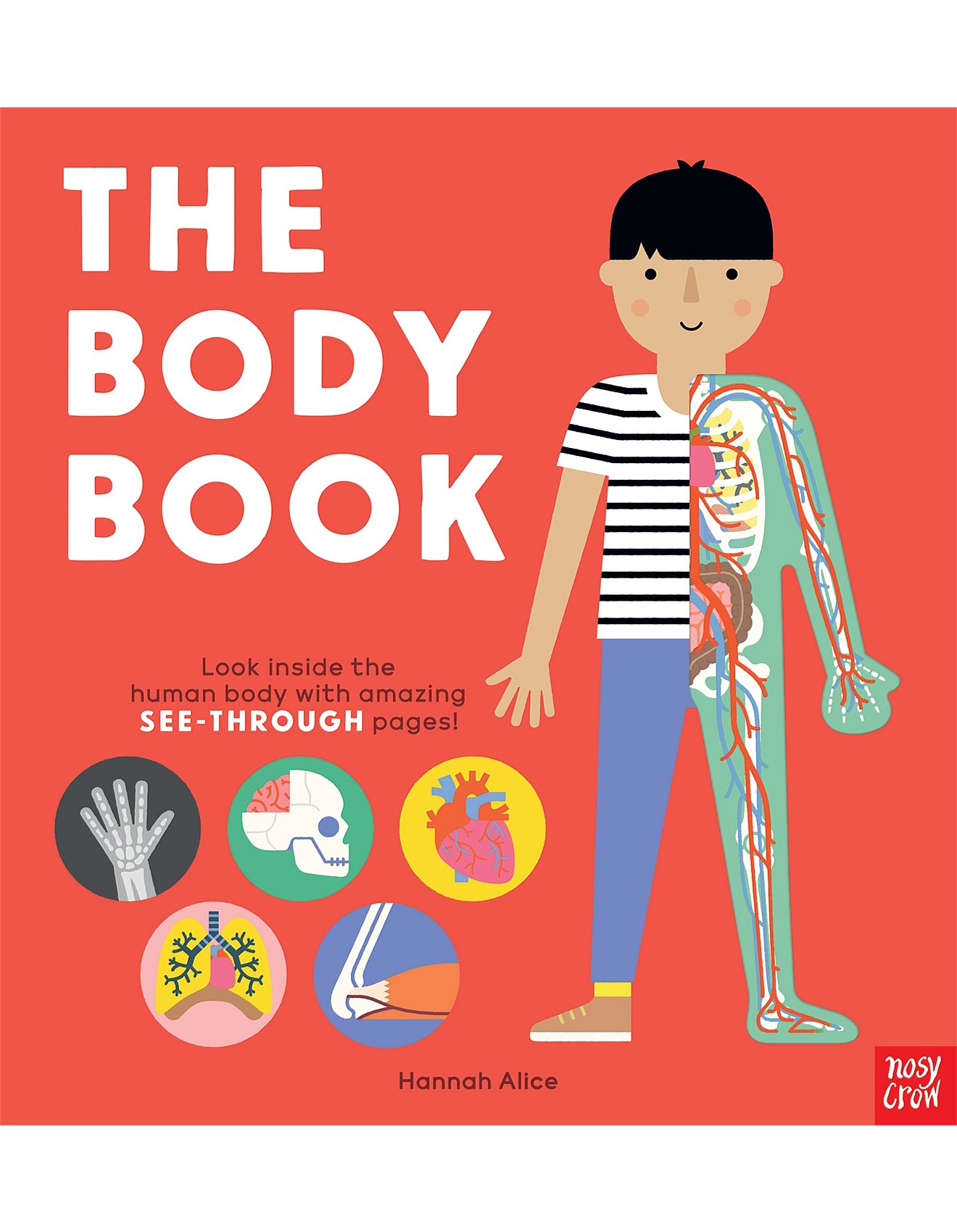 Allen & Unwin the Body Book | David Jones