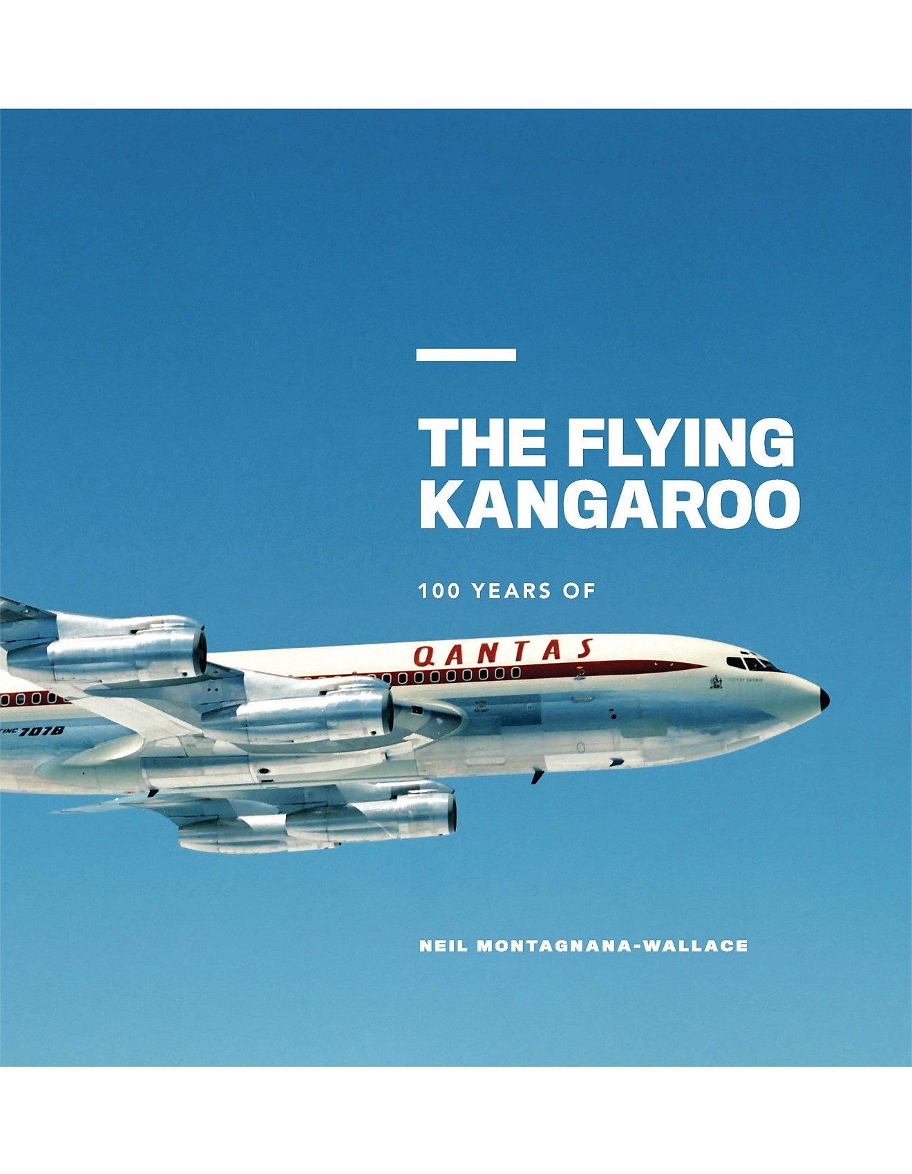 Hachette the Flying Kangaroo | David Jones