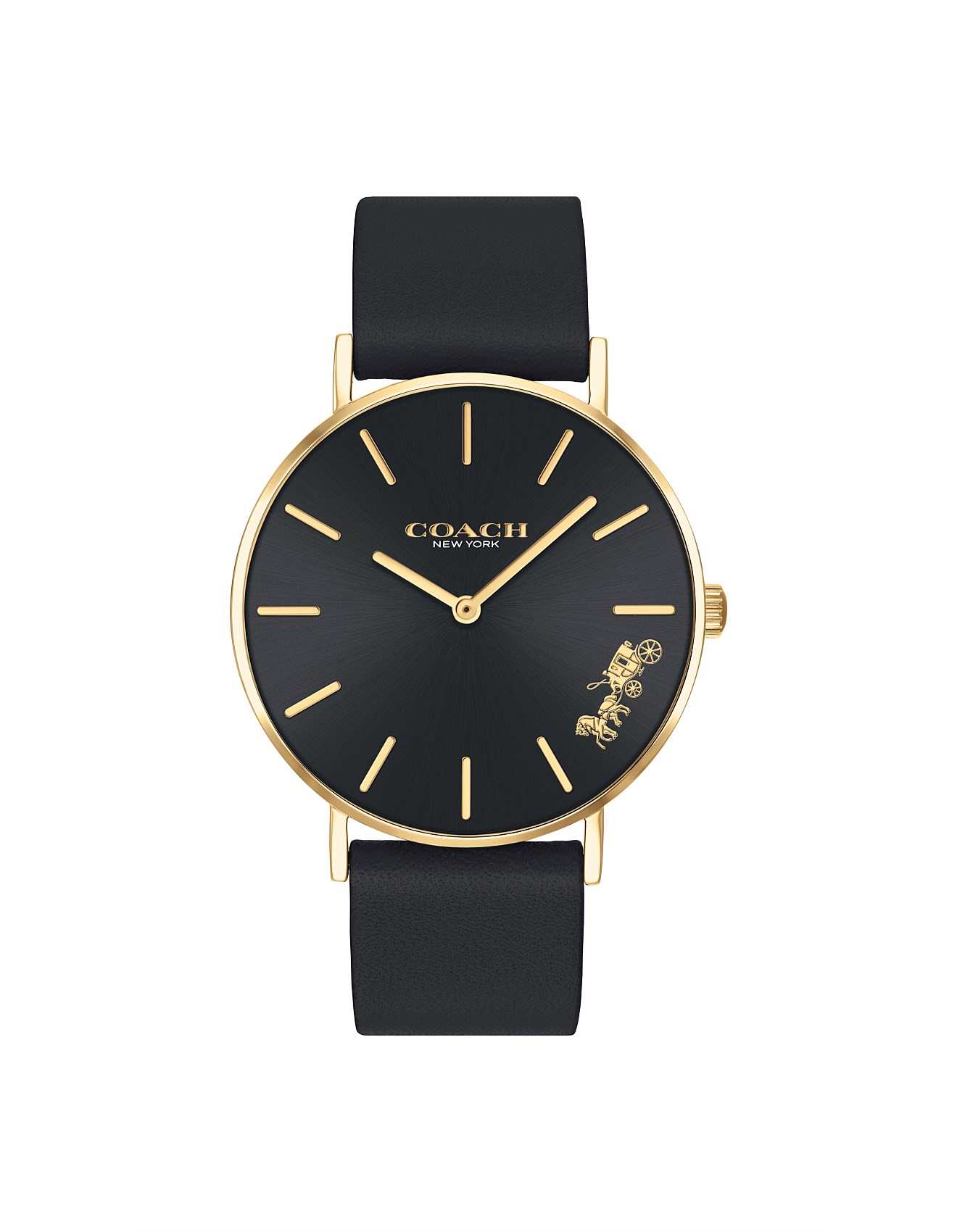 Coach Perry Watch | David Jones