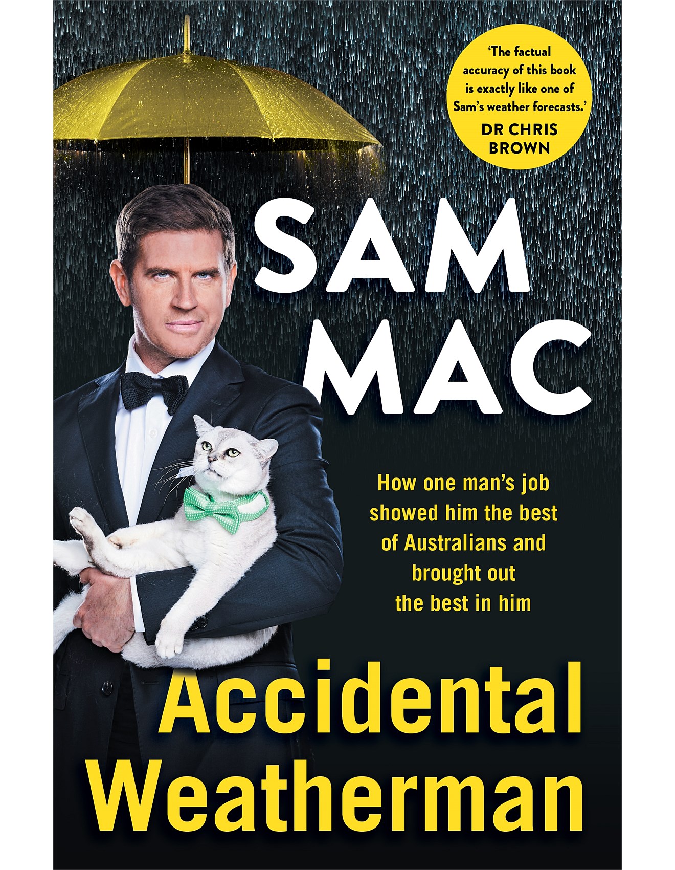Hachette Accidental Weatherman | David Jones