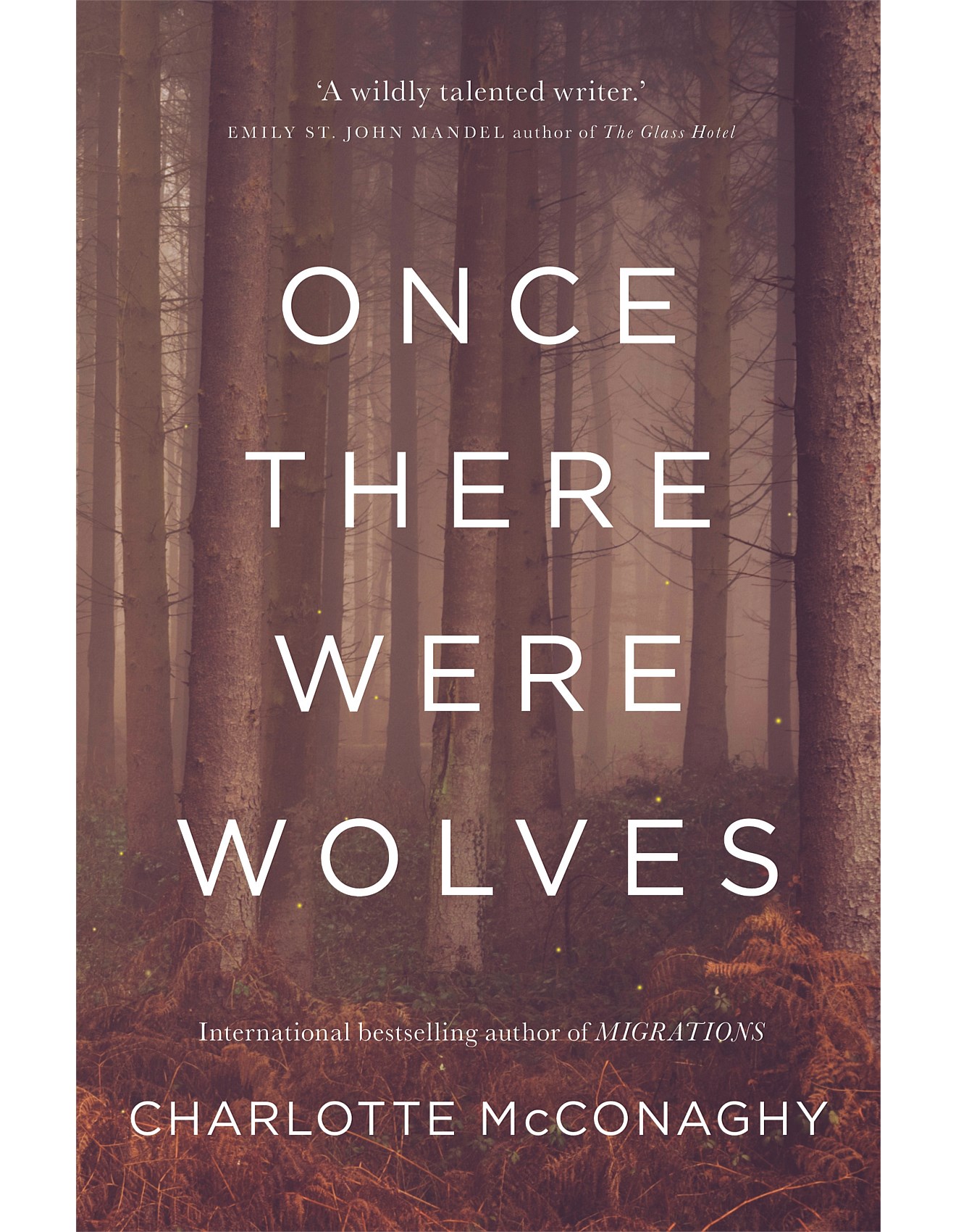 Penguin Once There Were Wolves | David Jones