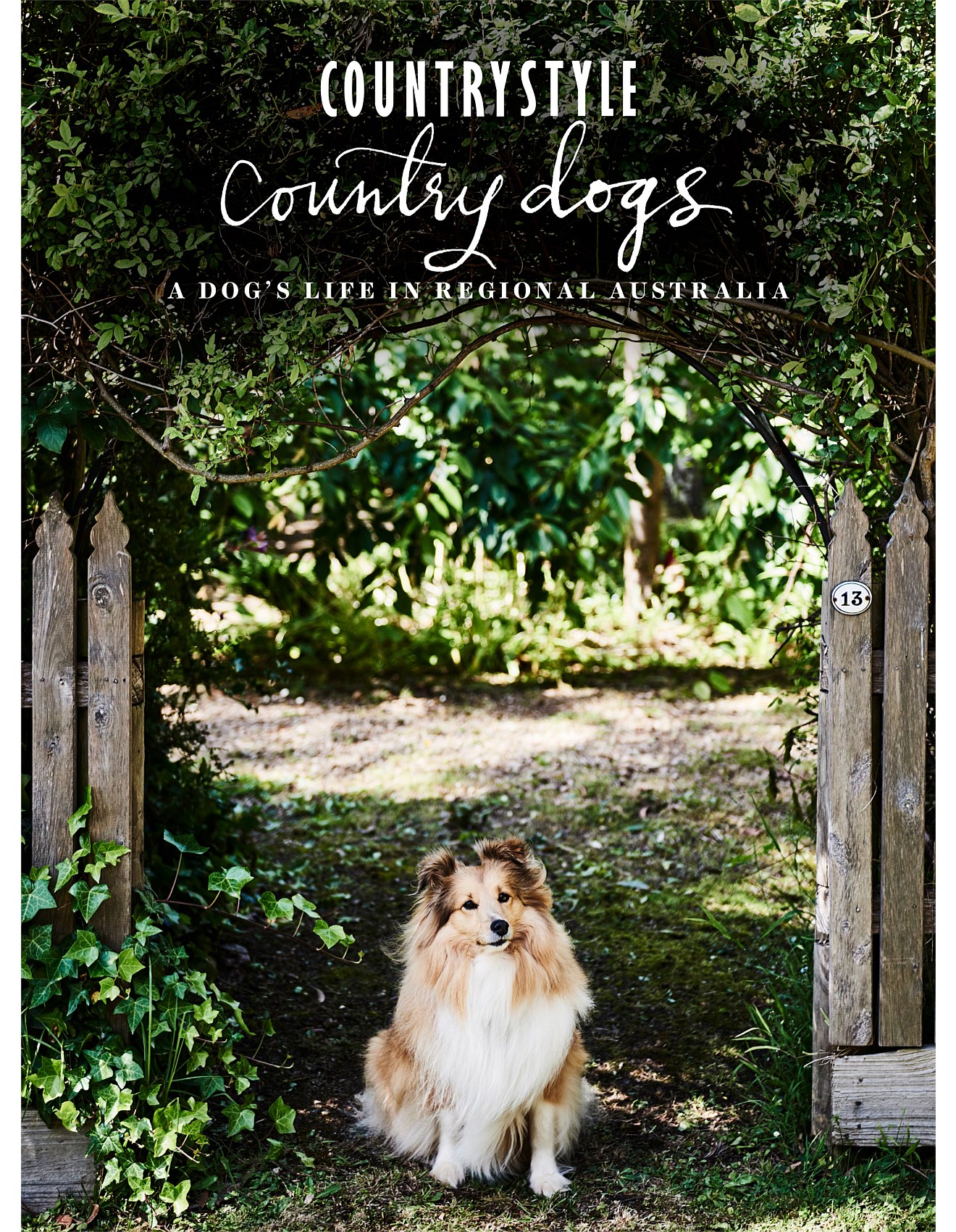 Random House Country Dogs By Country Style | David Jones