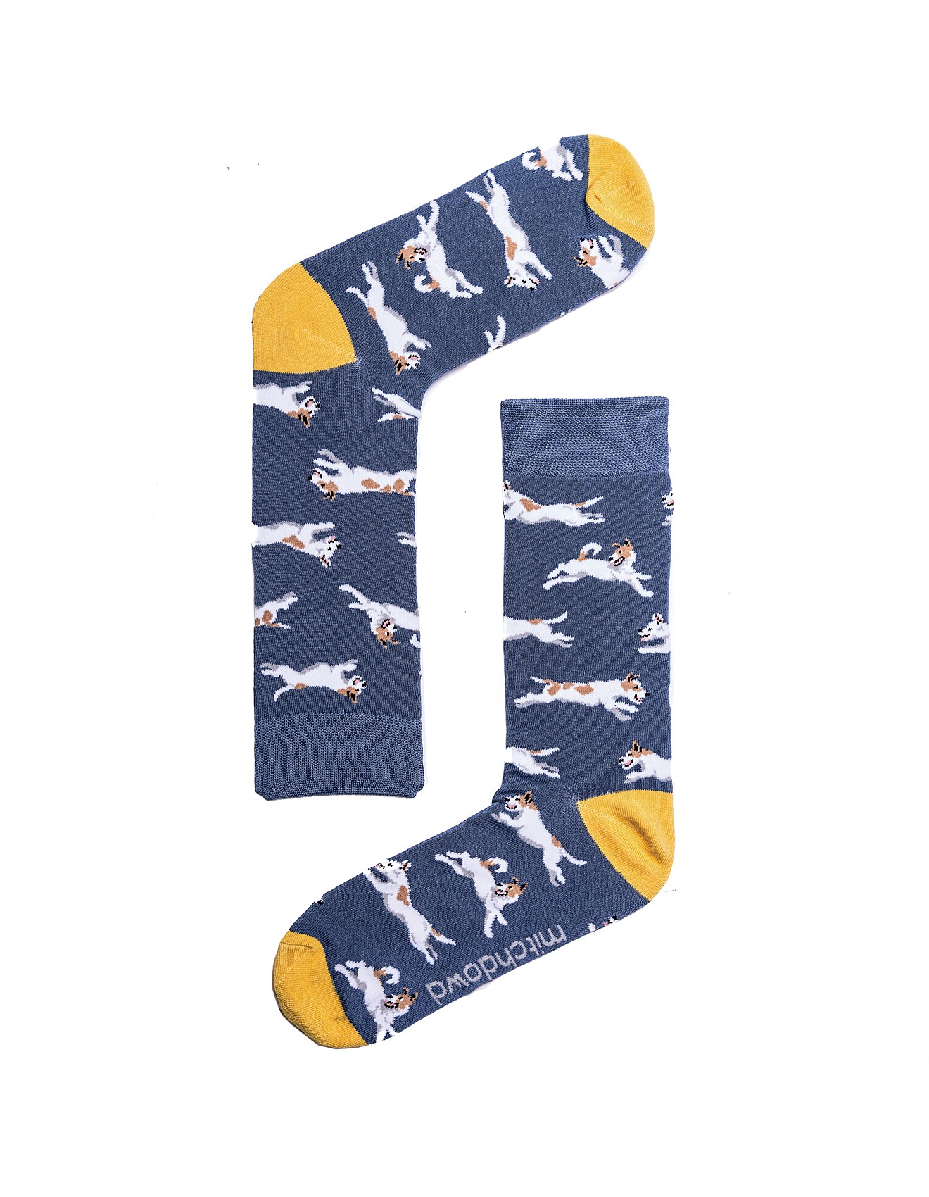 Mitch Dowd Bamboo Jack Russells | David Jones