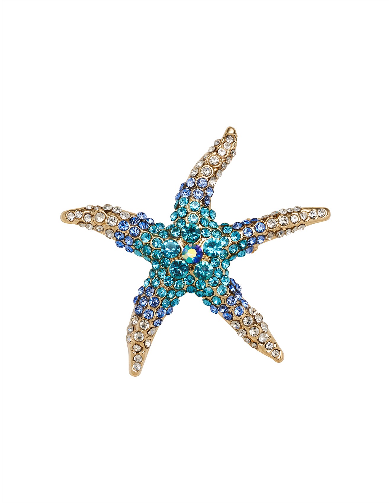 Barcs Starfish Brooch | David Jones