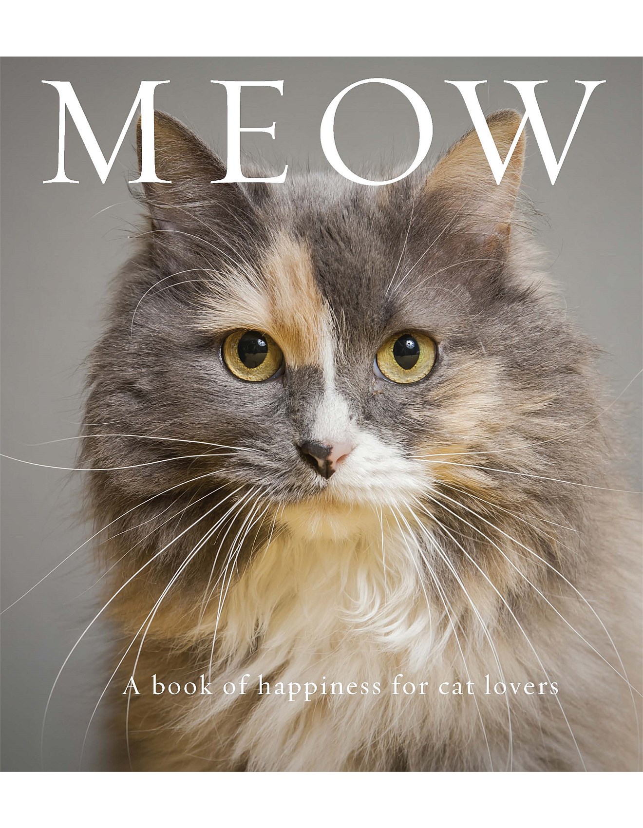 Harper Collins Meow | David Jones