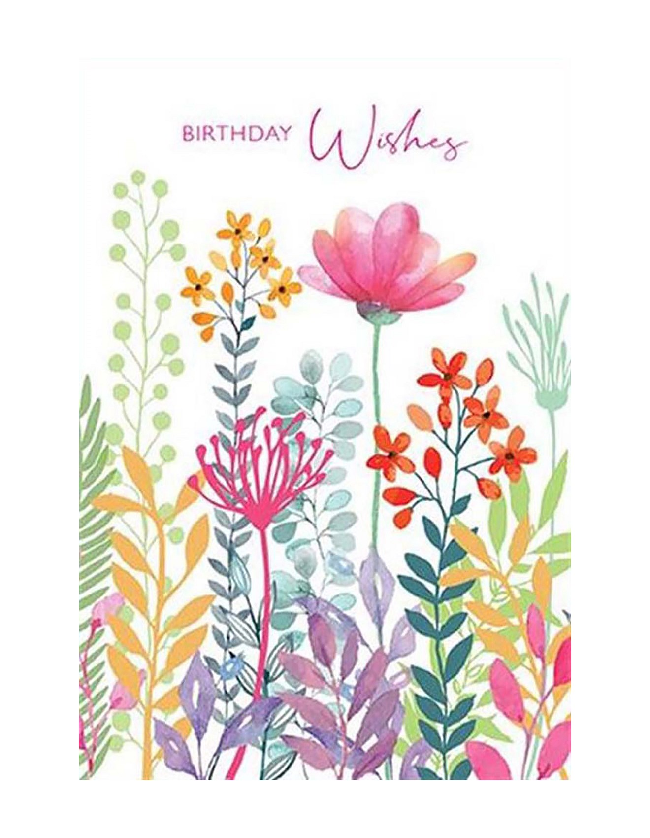 Waterlyn Birthday Wishes | David Jones