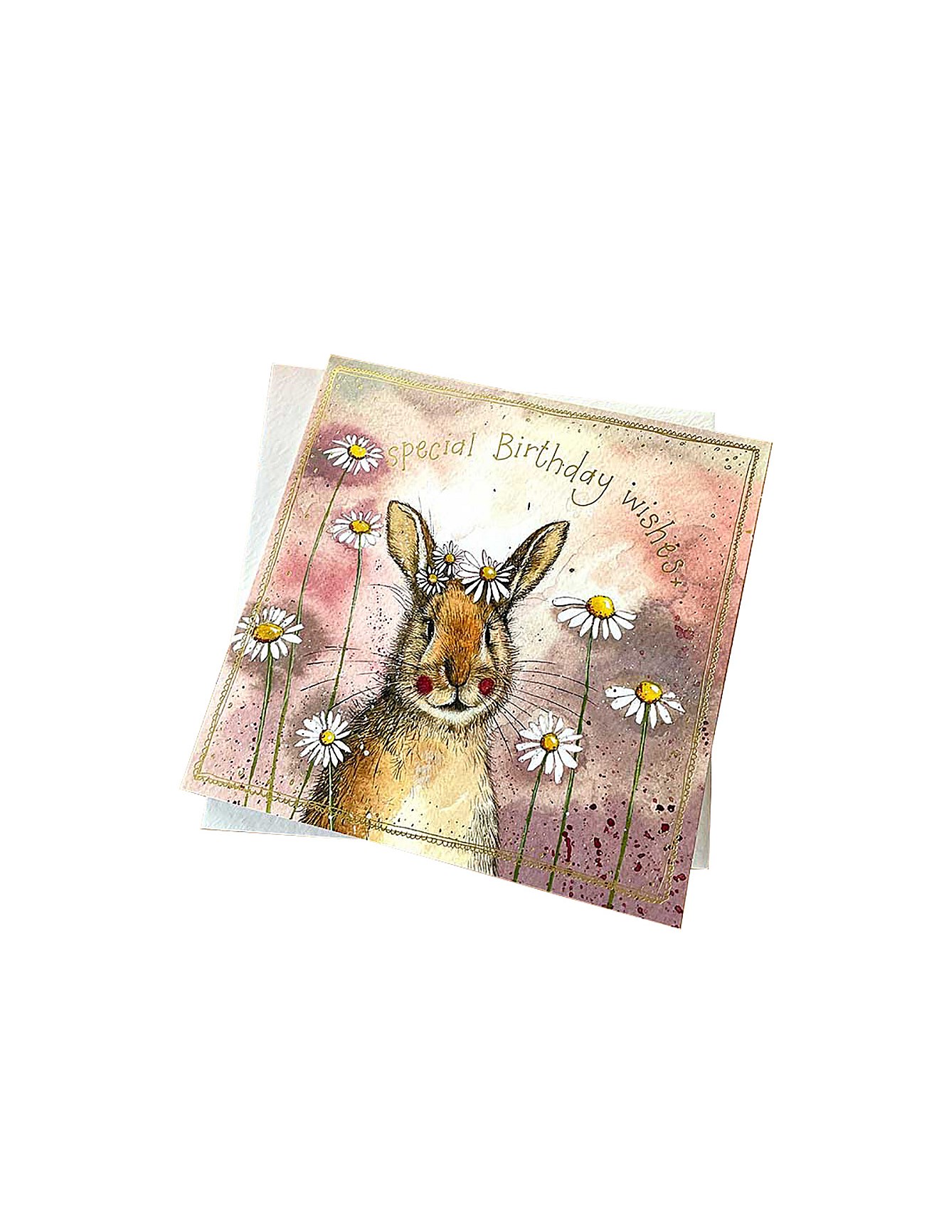 Waterlyn Rabbit and Daisies | David Jones