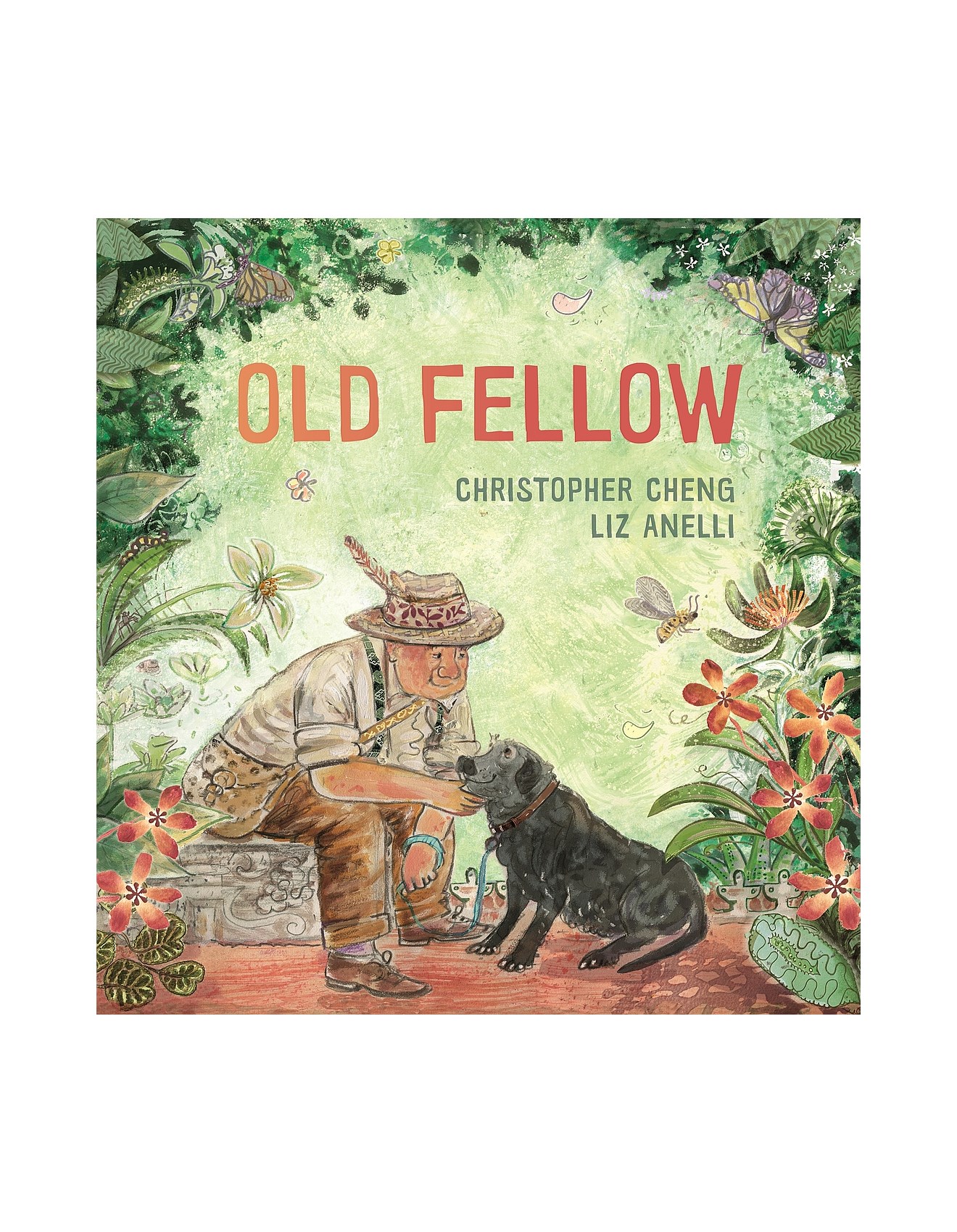Walker Books Old Fellow | David Jones