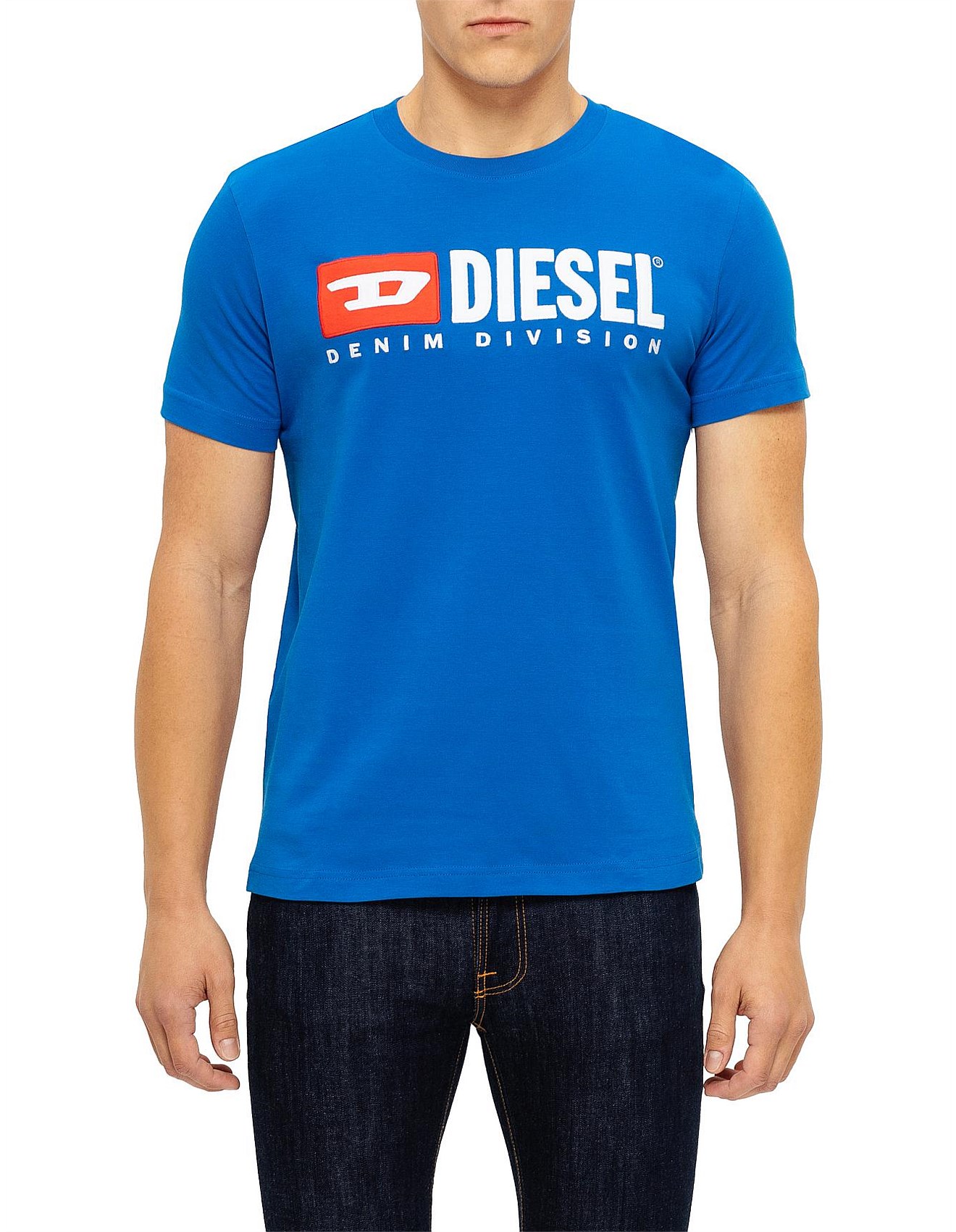 Diesel T-diegor-div T-shirt | David Jones
