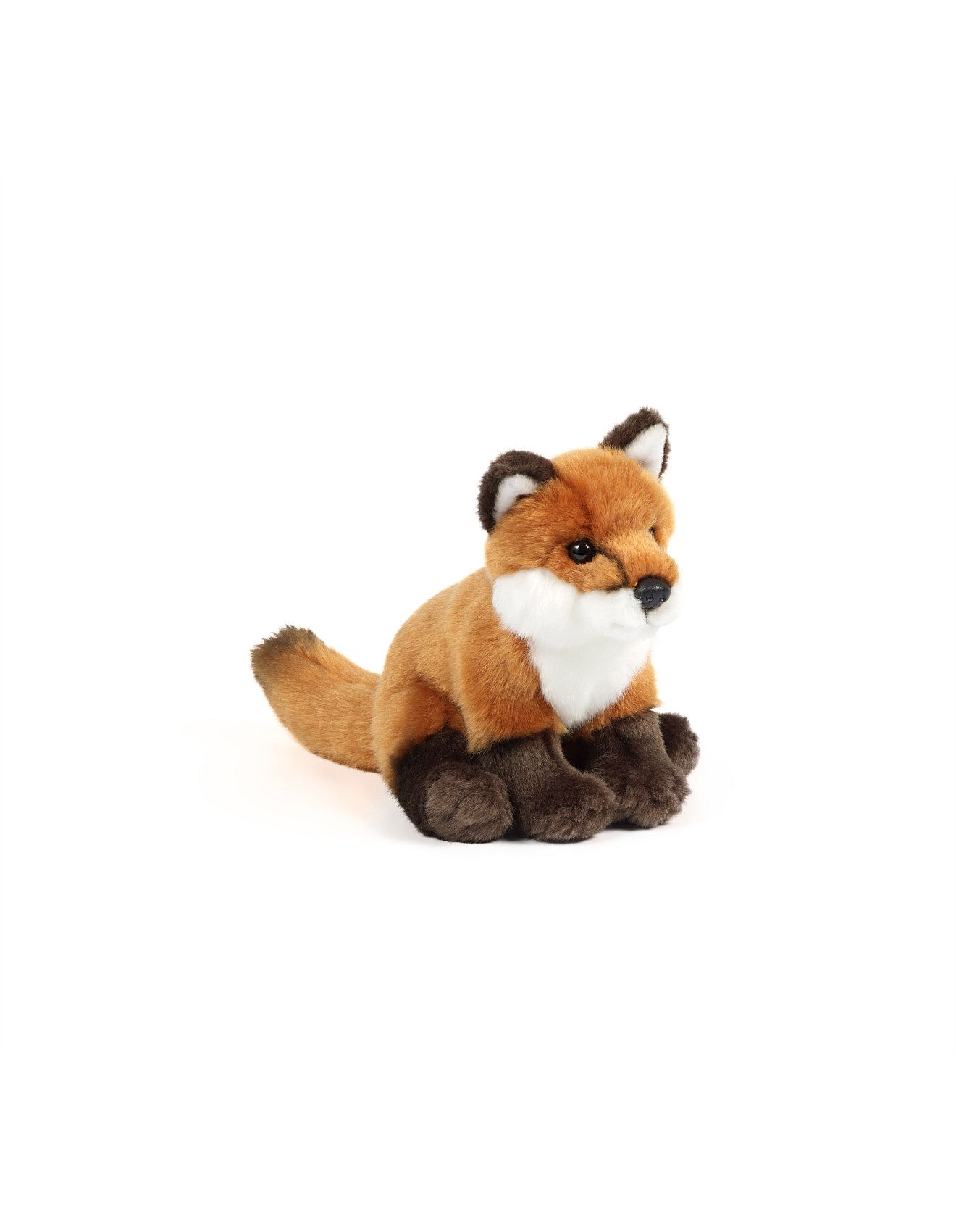 Living Nature Sitting Fox | David Jones