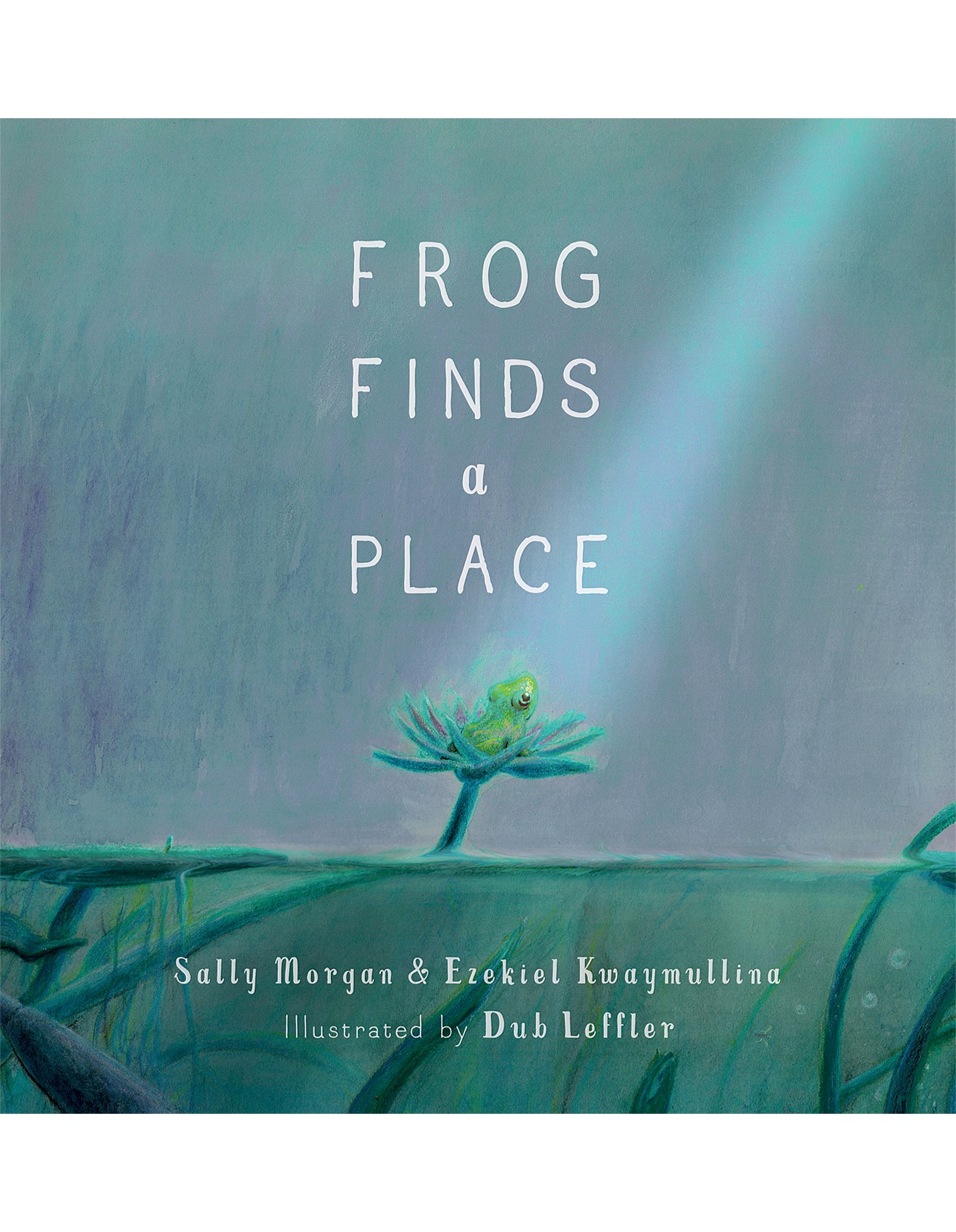 Scholastic Frog Finds A Place | David Jones