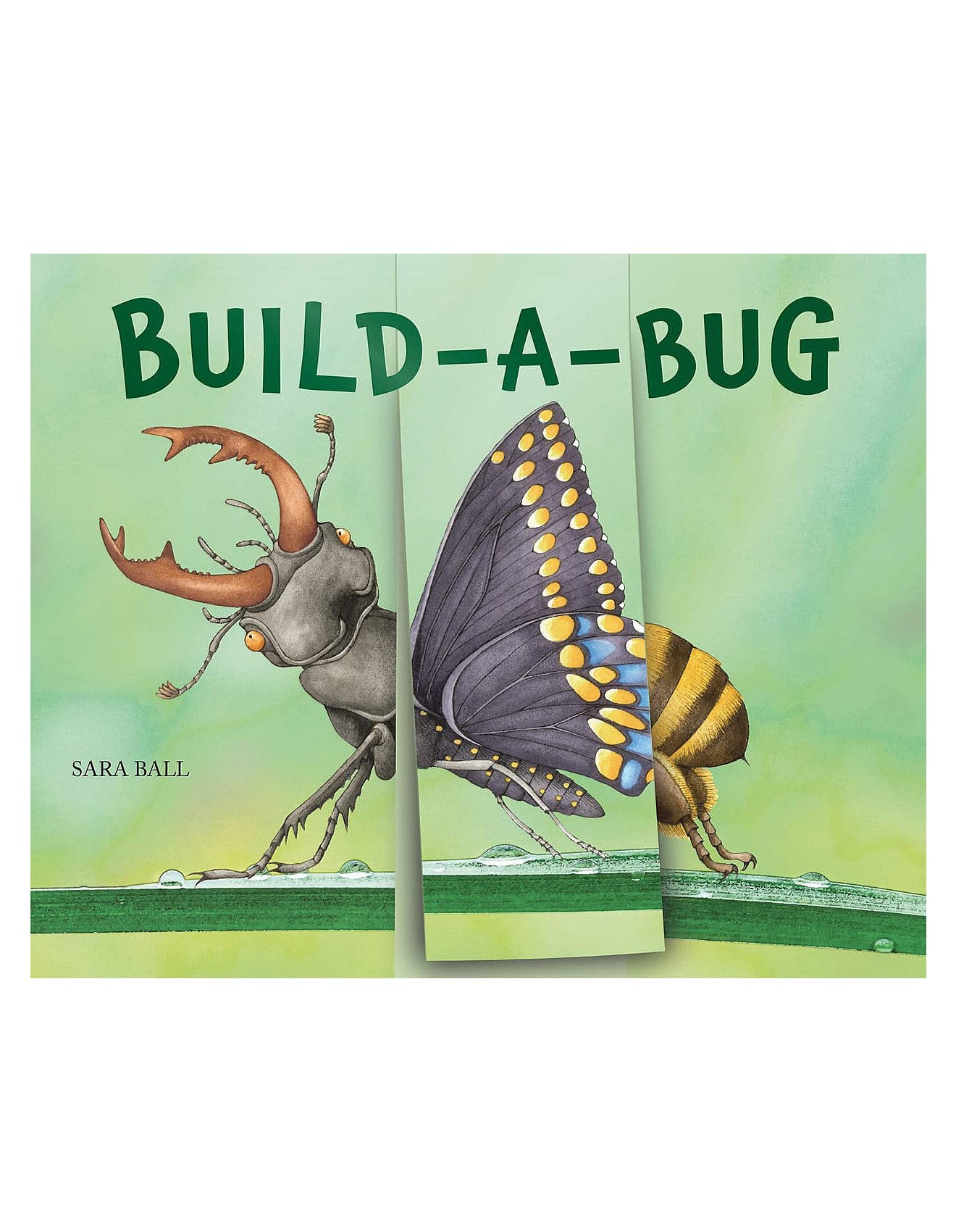 Peribo Build A Bug | David Jones