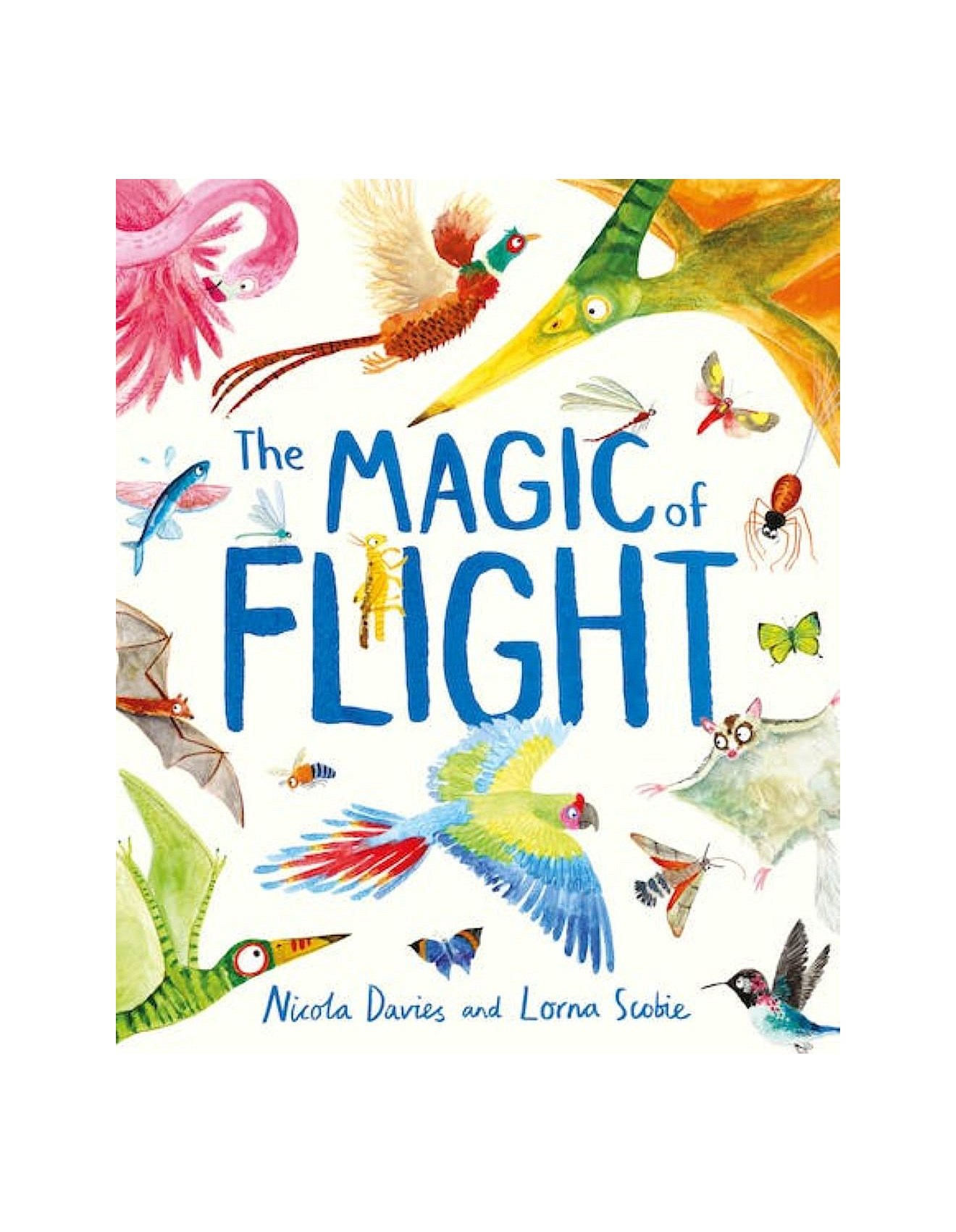 Hachette the Magic Of Flight | David Jones