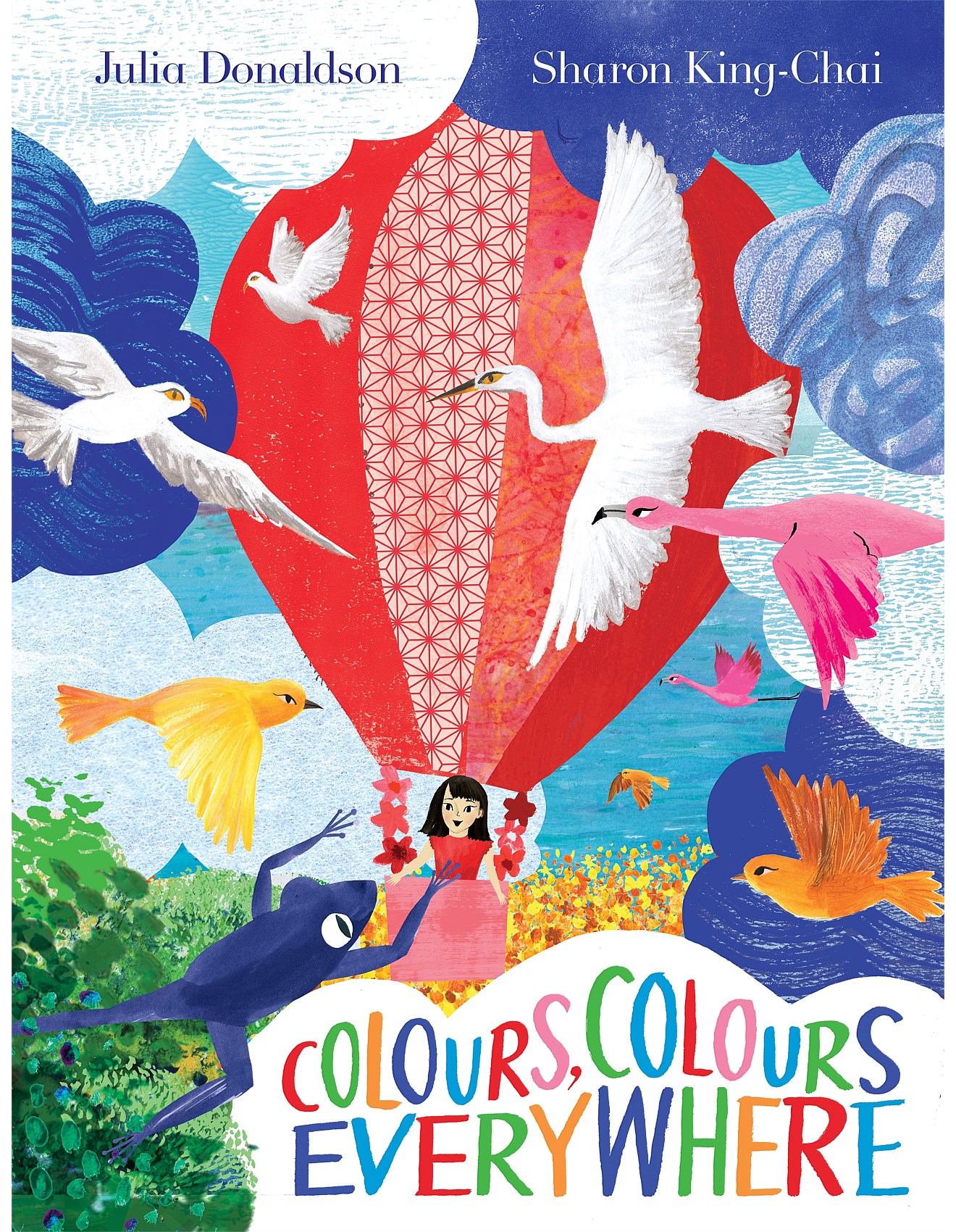 Pan Macmillan Colours Colours Everywhere | David Jones