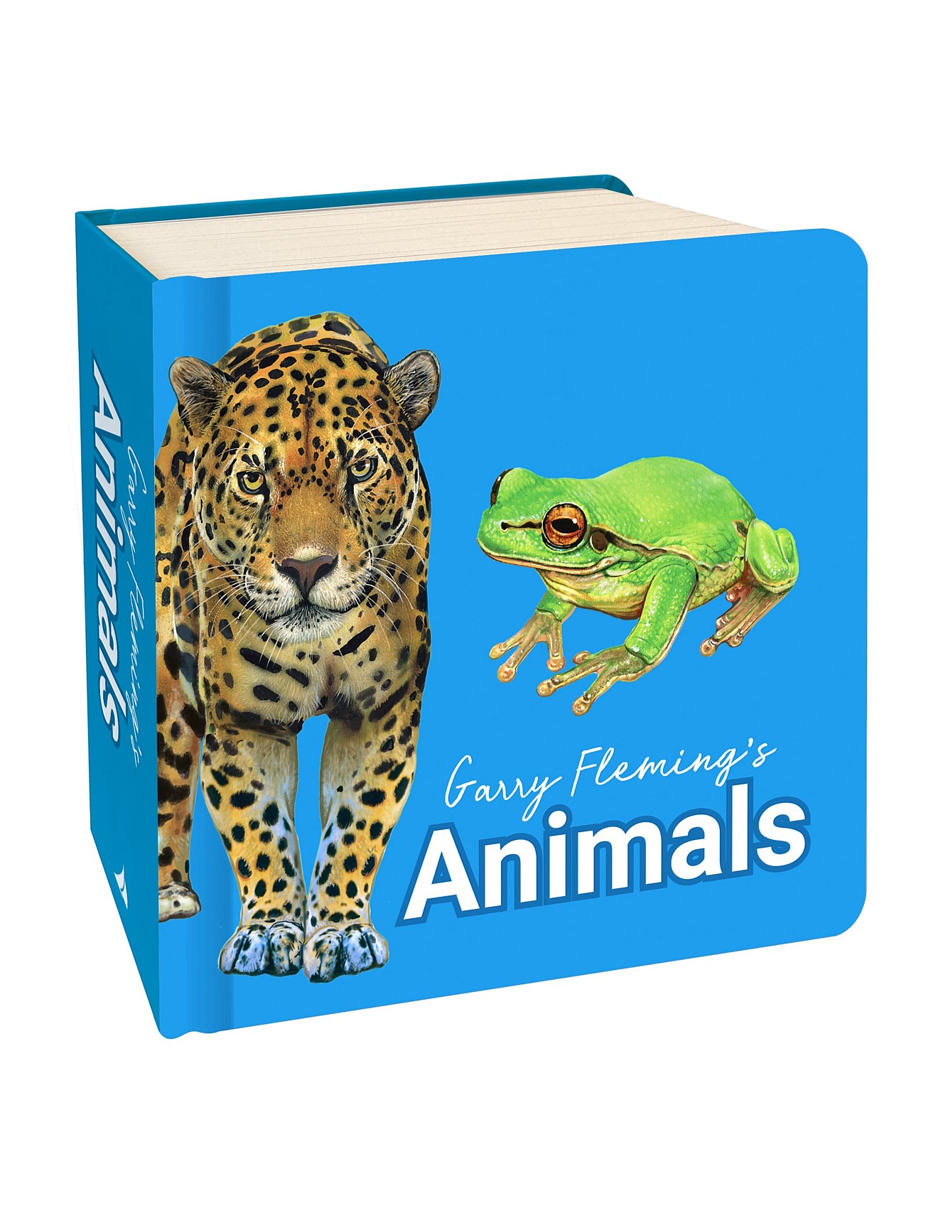 Lake Press Chunky Board Book Animals | David Jones