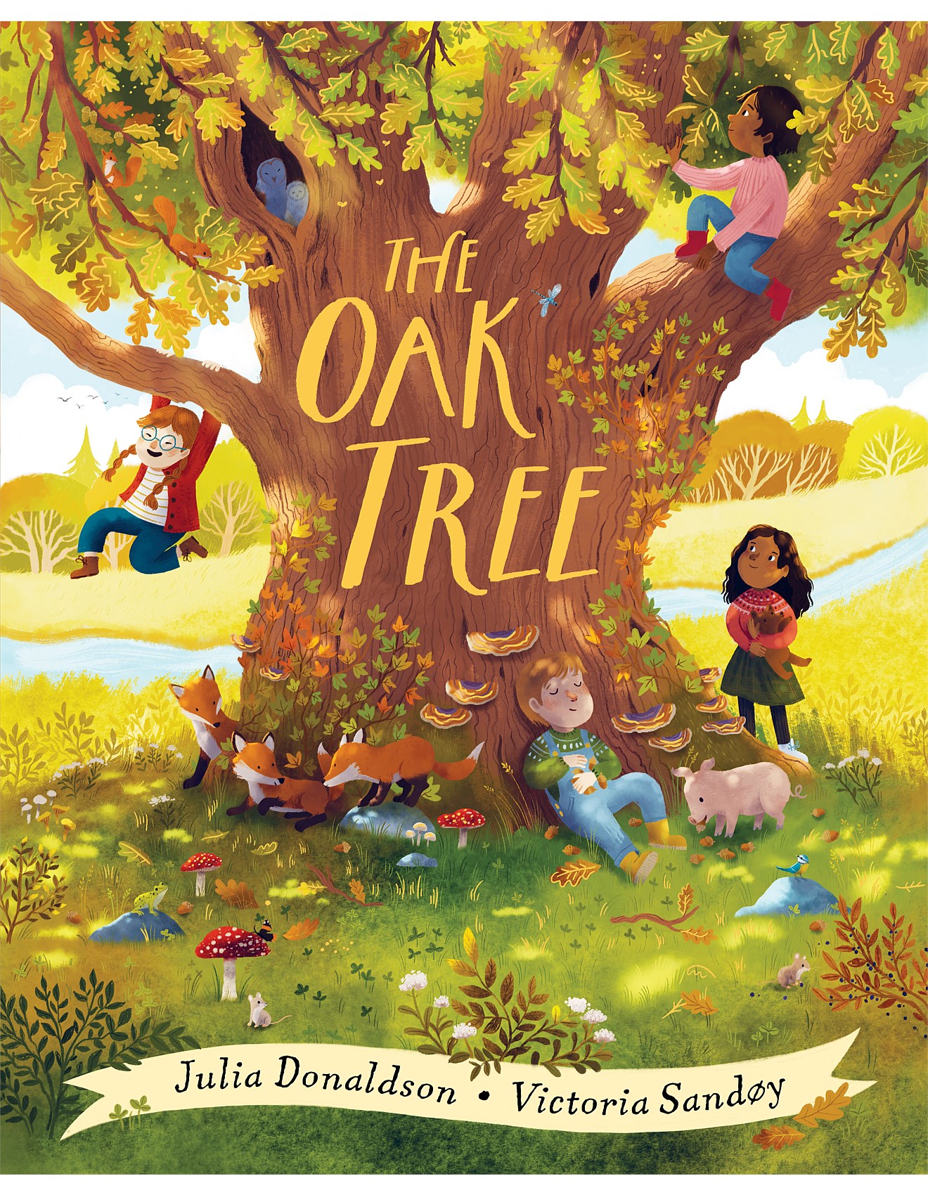 Scholastic the Oak Tree | David Jones
