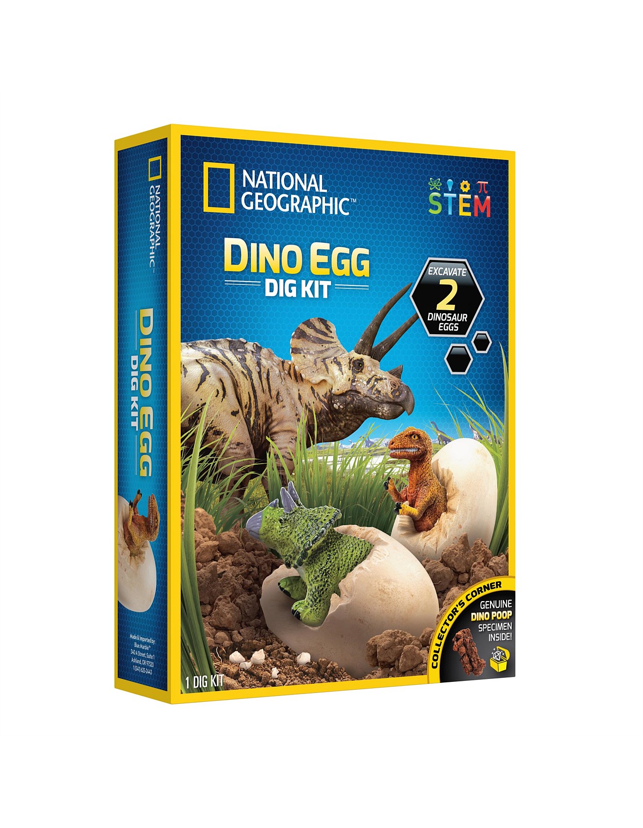 National Geographic Dino Egg Dig Kit | David Jones