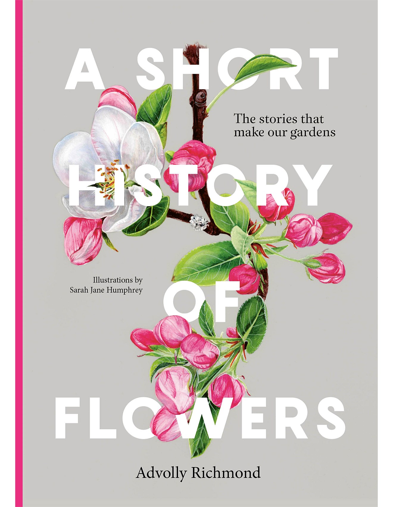 Murdoch Books A Short History Of Flowers By Advolly Richmond | David Jones