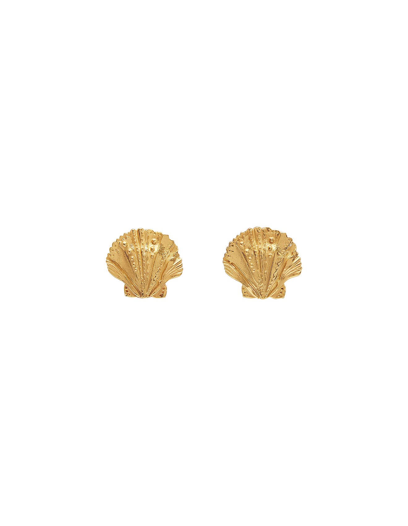 Alémais Shell Stud Earrings | David Jones