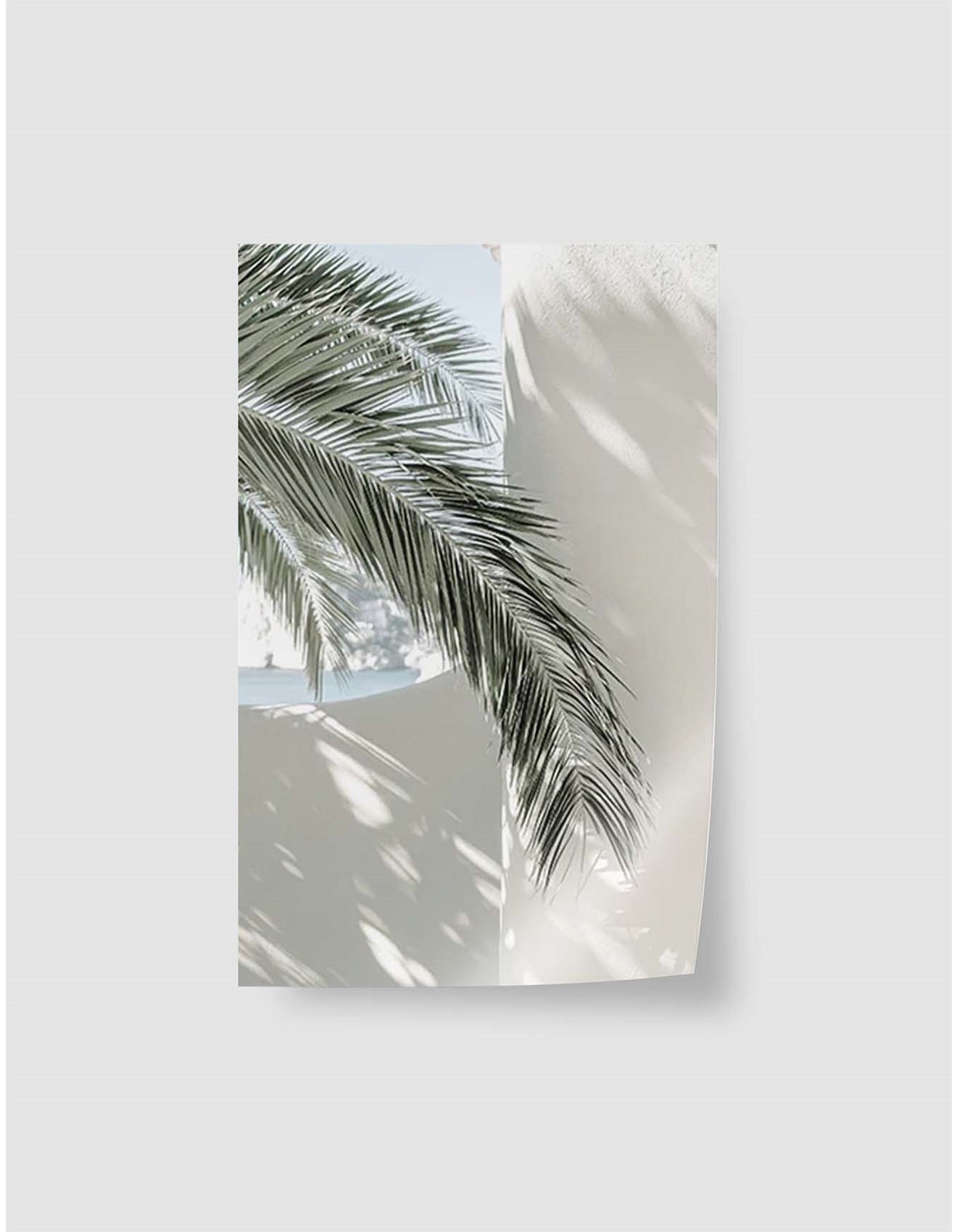 Framehub Coastal Palm A4 Unframed Print | David Jones