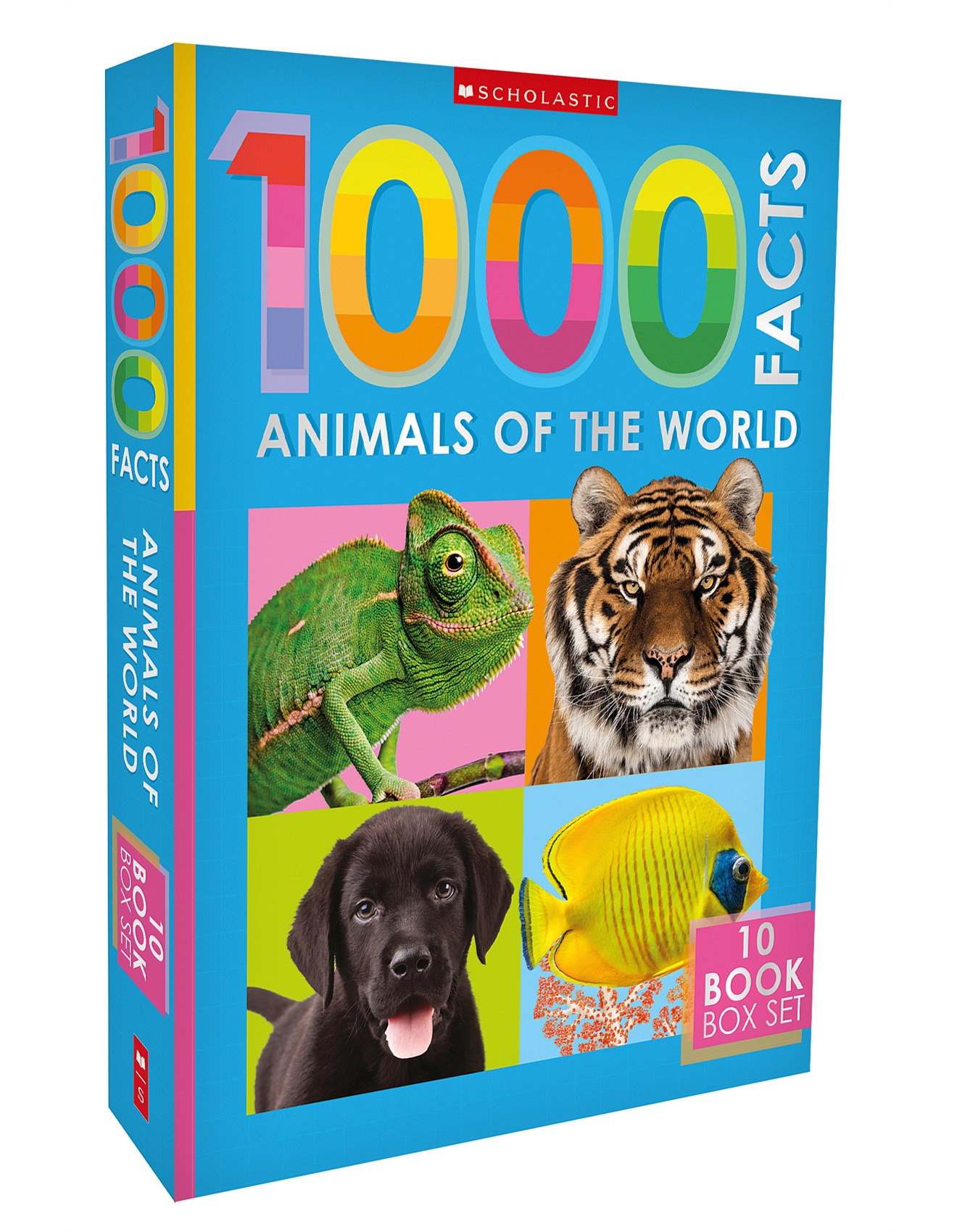 Scholastic Animals Of the World 1000 Facts 10 Book Boxed Set | David Jones
