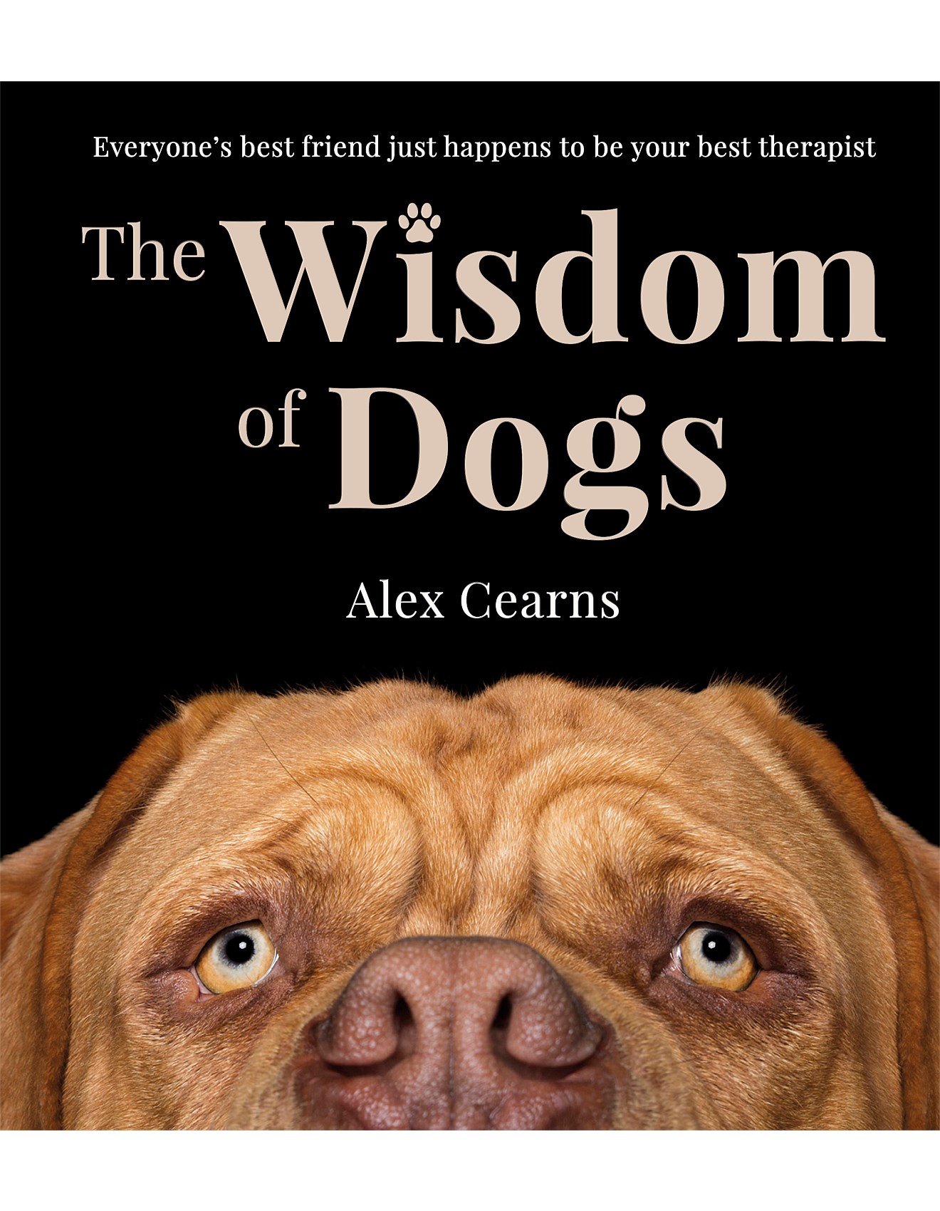 Harper Collins Wisdom Of Dogs By Alex Cearns | David Jones
