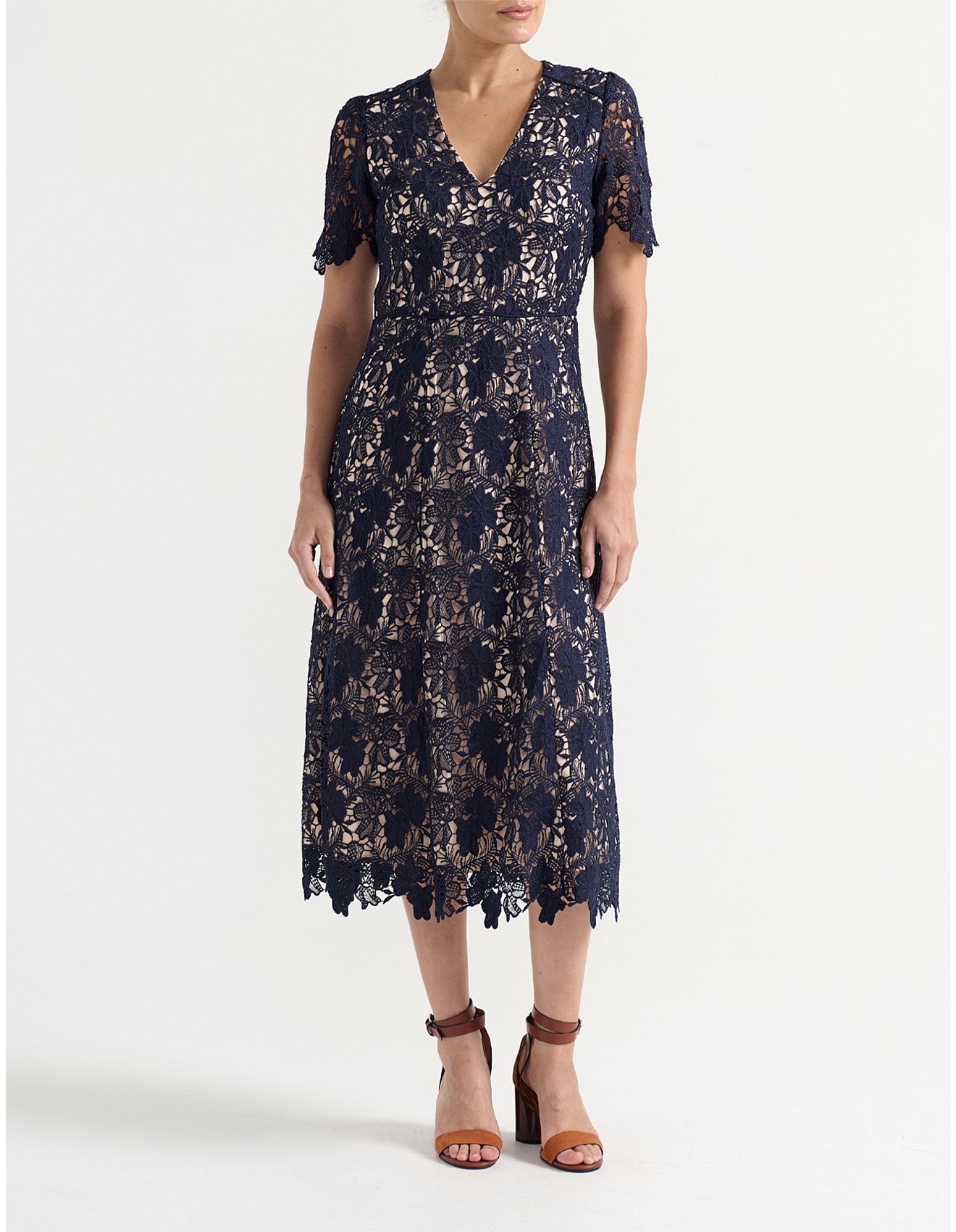 David Jones Collection Flared Lace Dress | David Jones