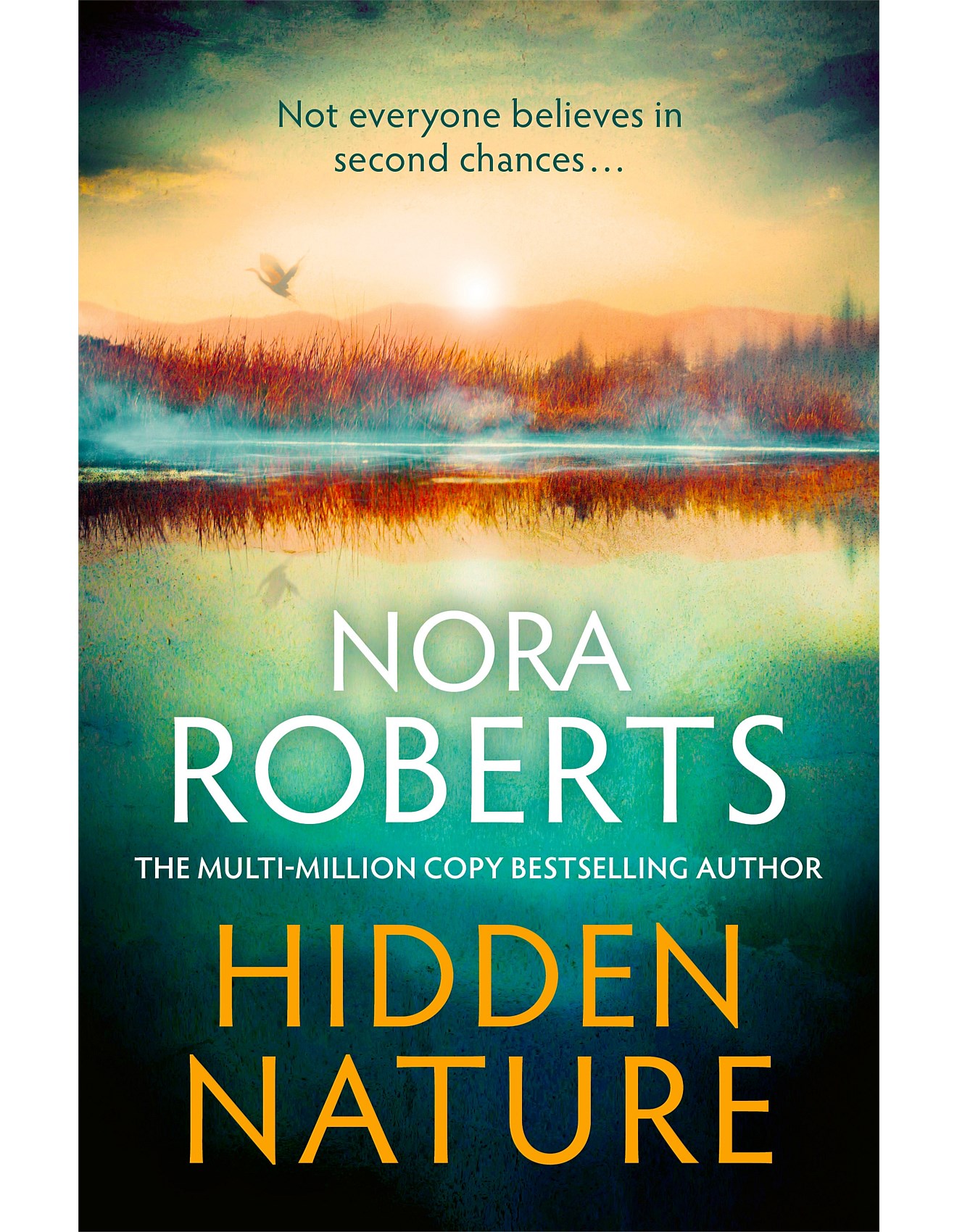 Hachette Hidden Nature | David Jones
