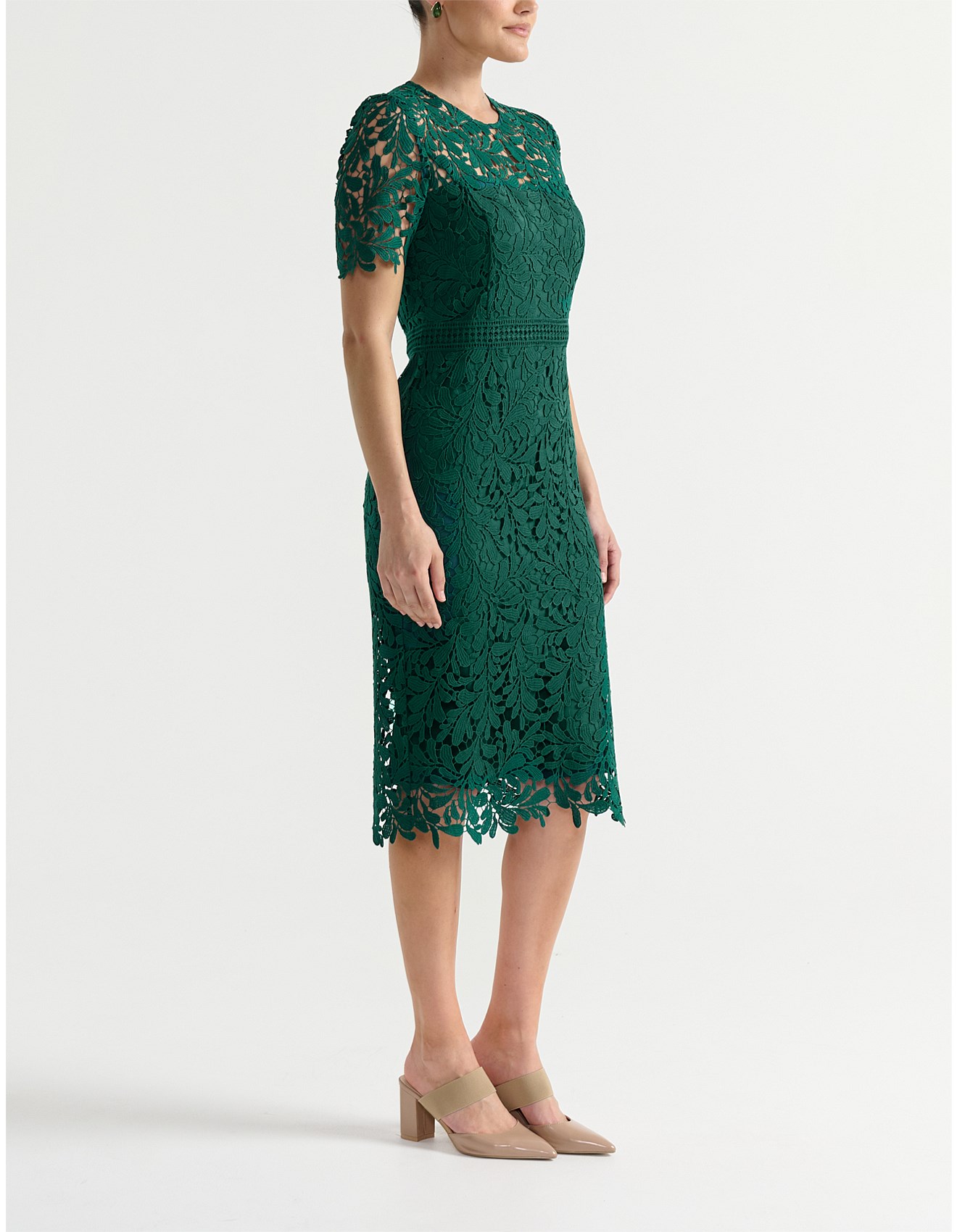 David Jones Womens Clothing: Dresses & more | David Jones