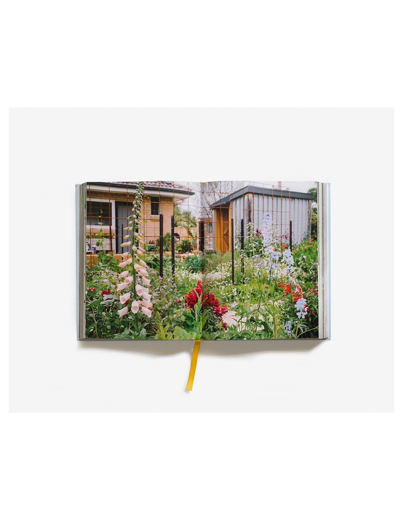 Thames and Hudson Super Bloom: A Field Guide To Flowers For Every ...