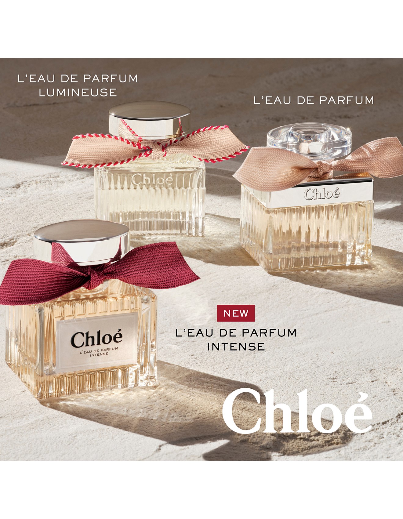 Chloé Chloé L'eau De Parfum Intense Edp 100ml | David Jones